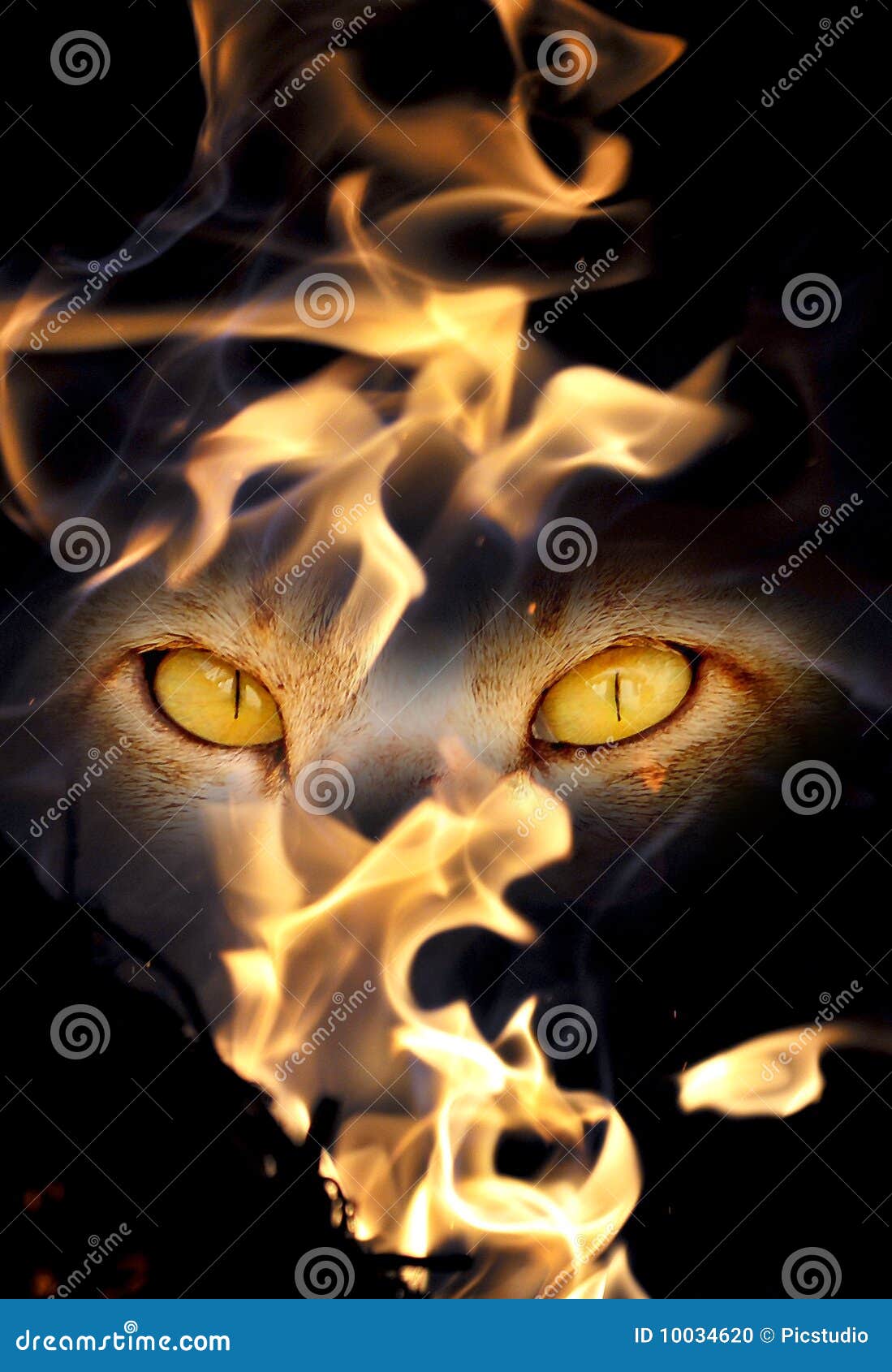 Beast eyes stock photo. Image of beast, eyes, flames - 10034620
