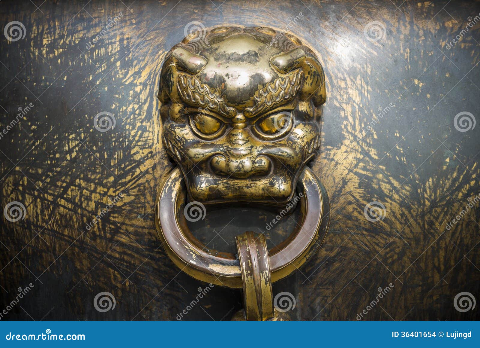 Beast head stock photo. Image of gold, golden, protect - 36401654