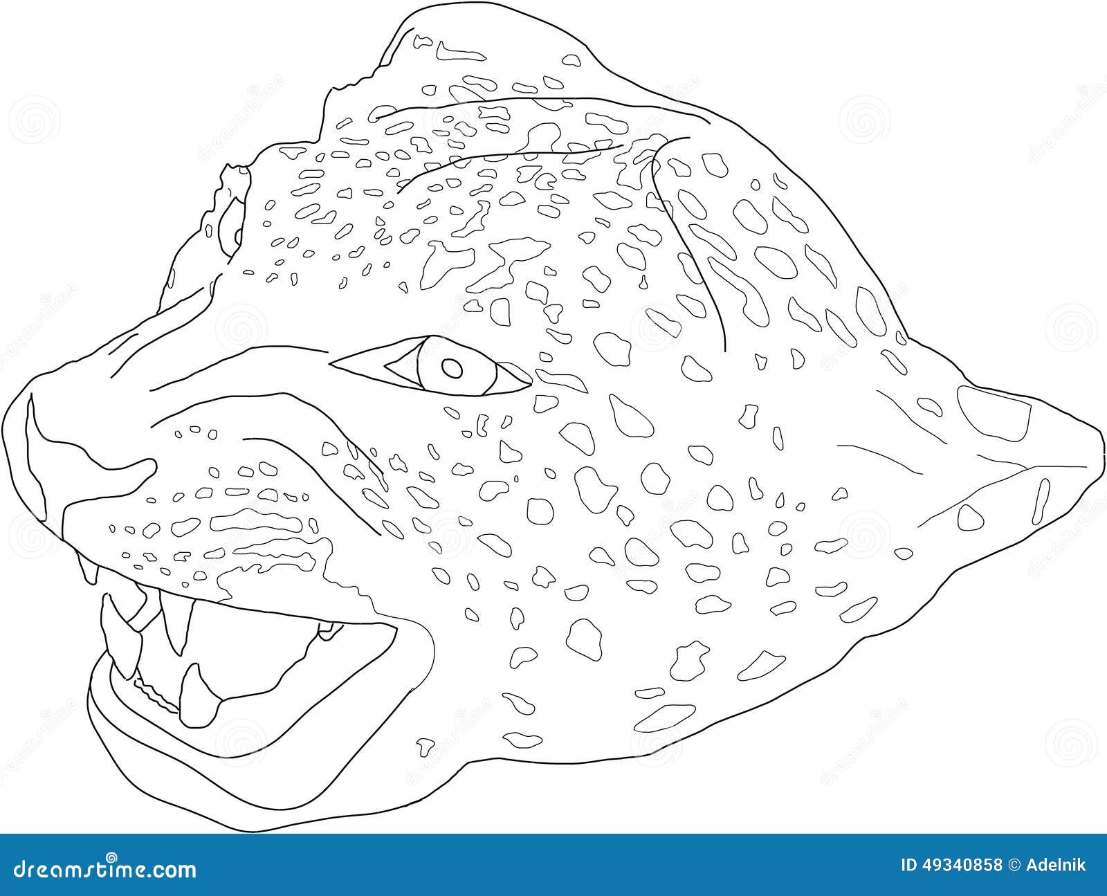 Beast stock vector. Illustration of angry, mammal, teeth - 49340858