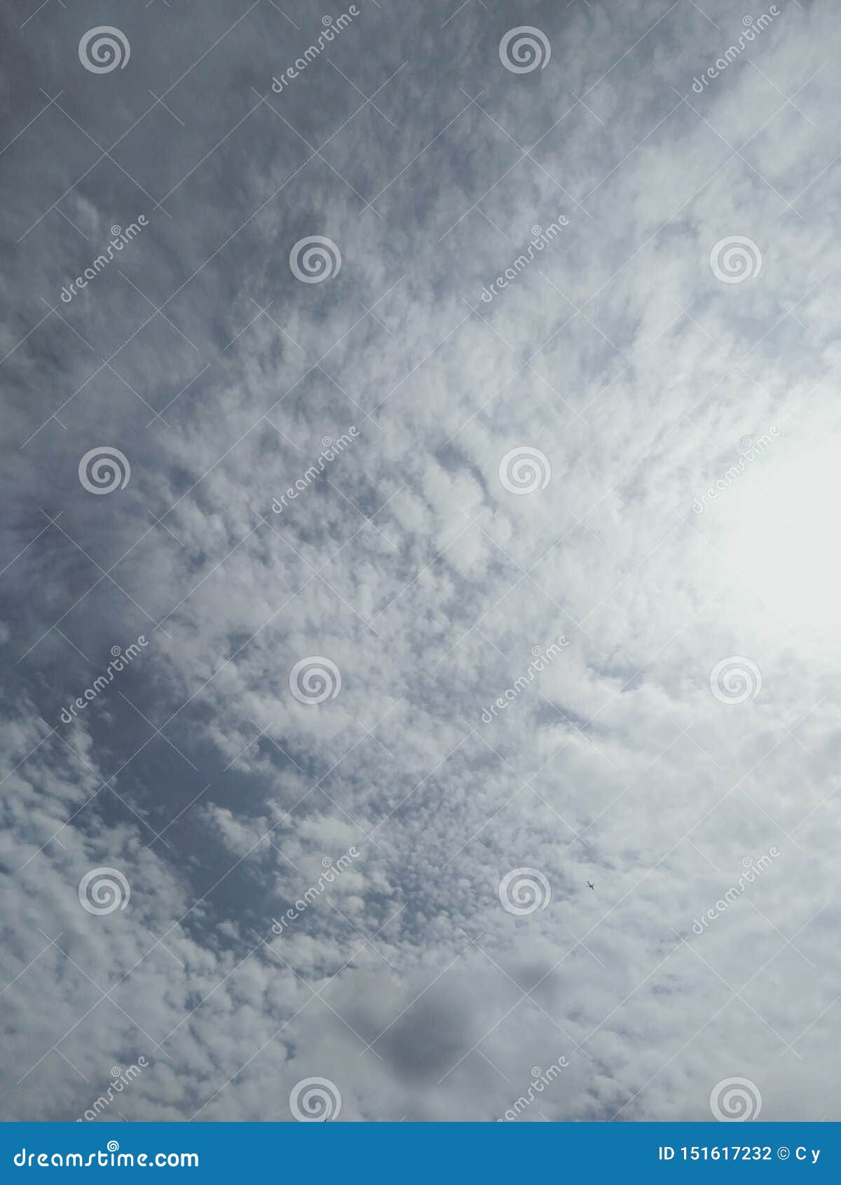 Beast in the sky stock photo. Image of beast, wild, show - 151617232