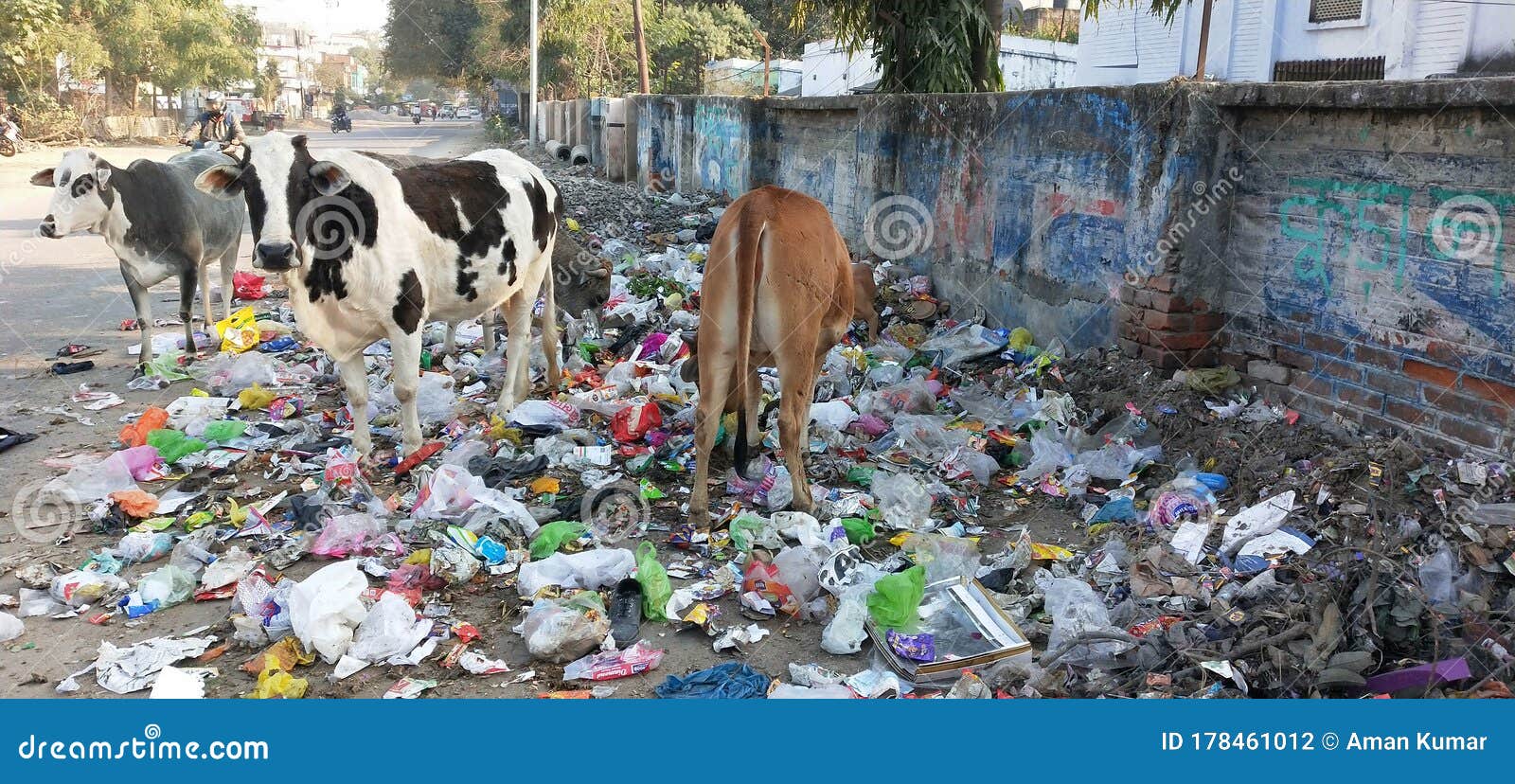 Beat Plastic Pollution . Plastic Pollution in India Editorial ...