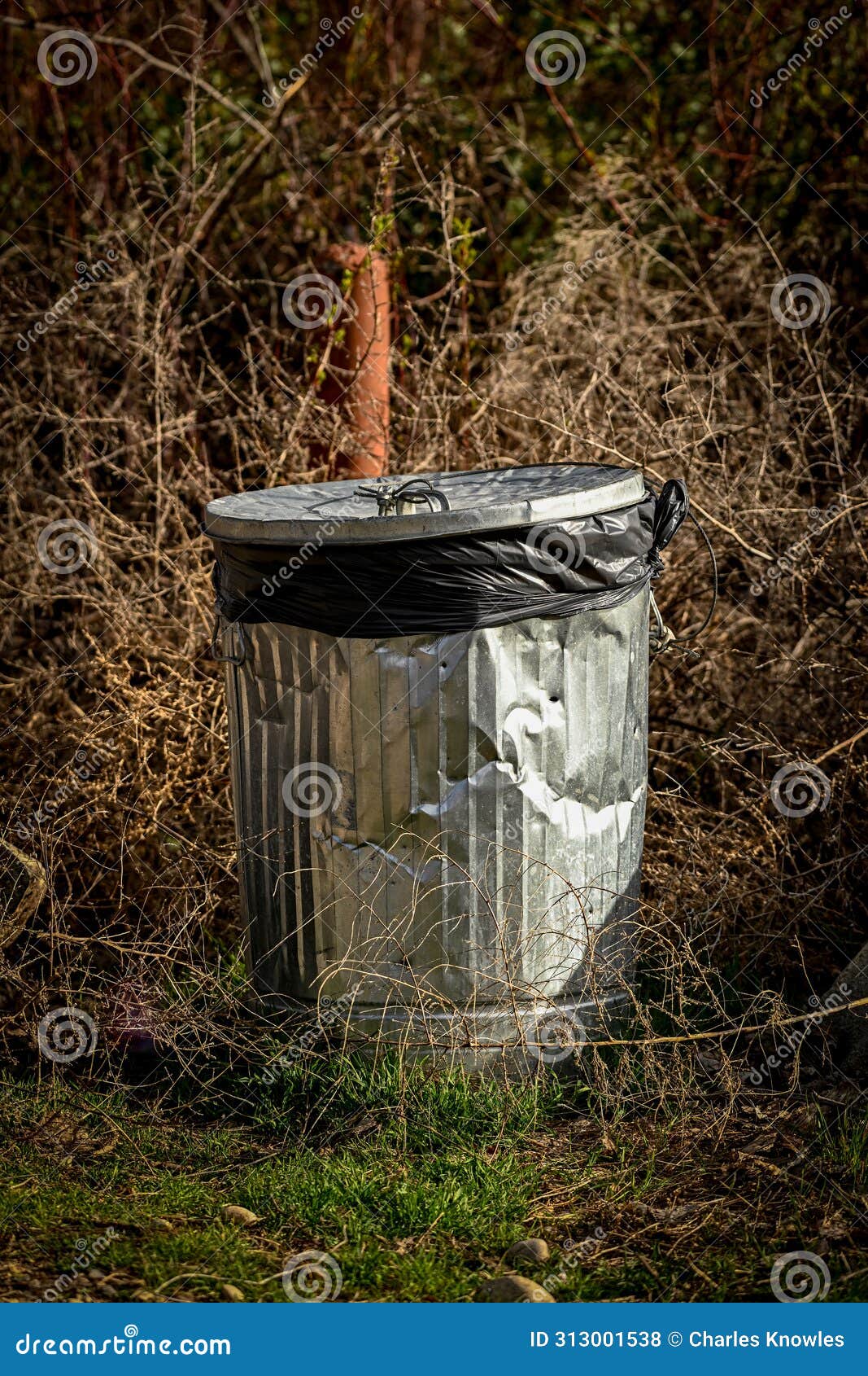 Beat-up Old Galvanized Trashcan in a State Park Stock Photo - Image of ...