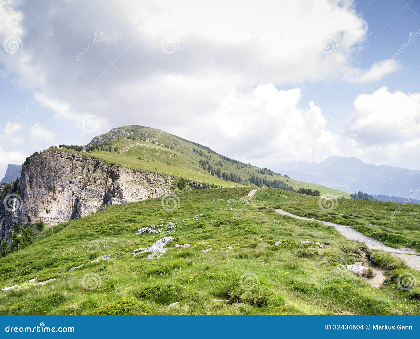 Beatenberg Swiss stock photo. Image of field, forest - 32434604