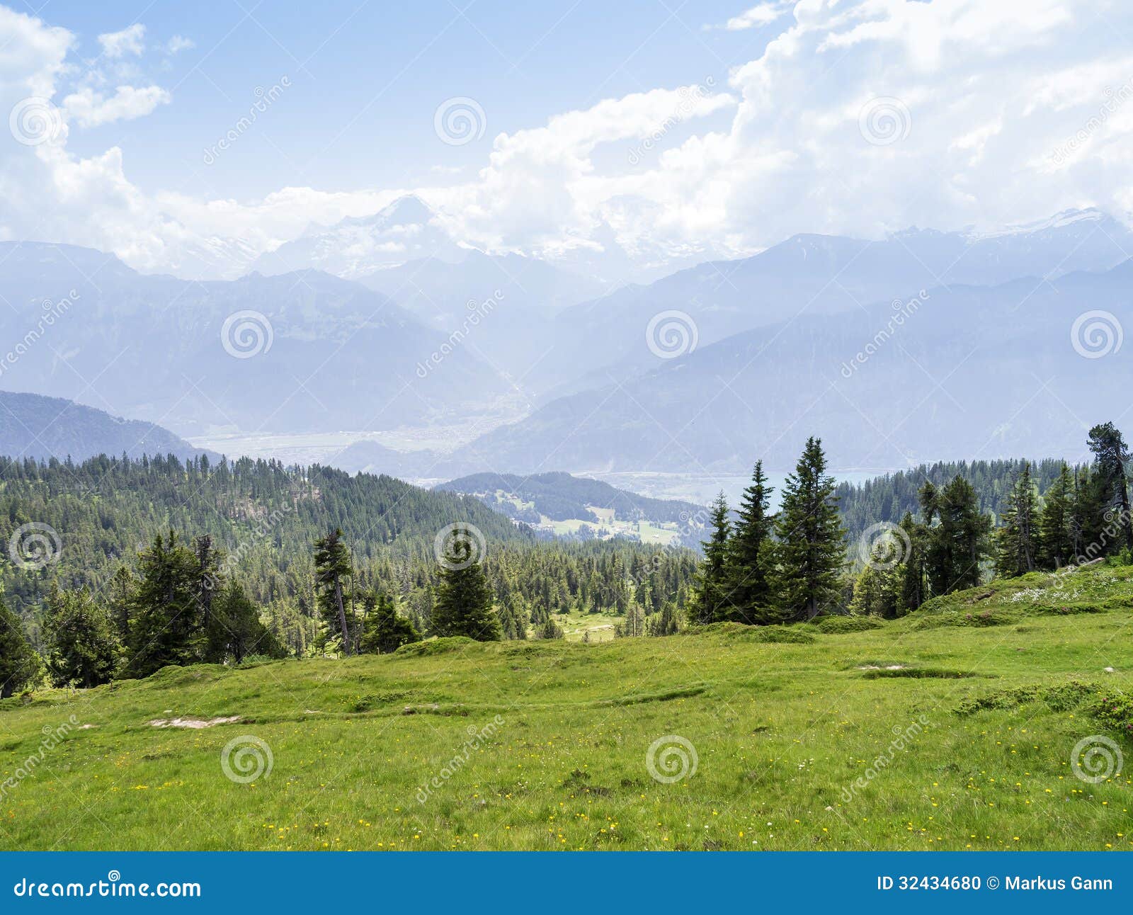 Beatenberg Swiss stock photo. Image of high, flora, rural - 32434680