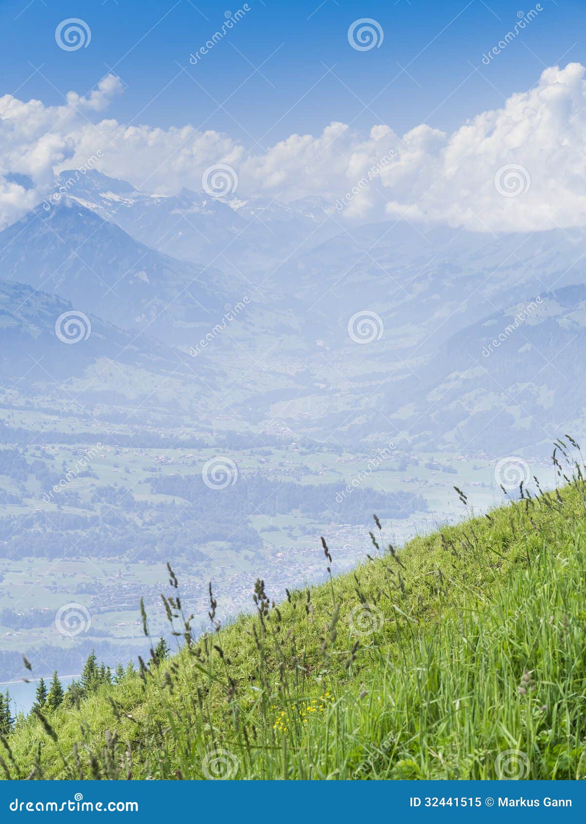 Beatenberg Swiss stock image. Image of pine, park, beautiful - 32441515