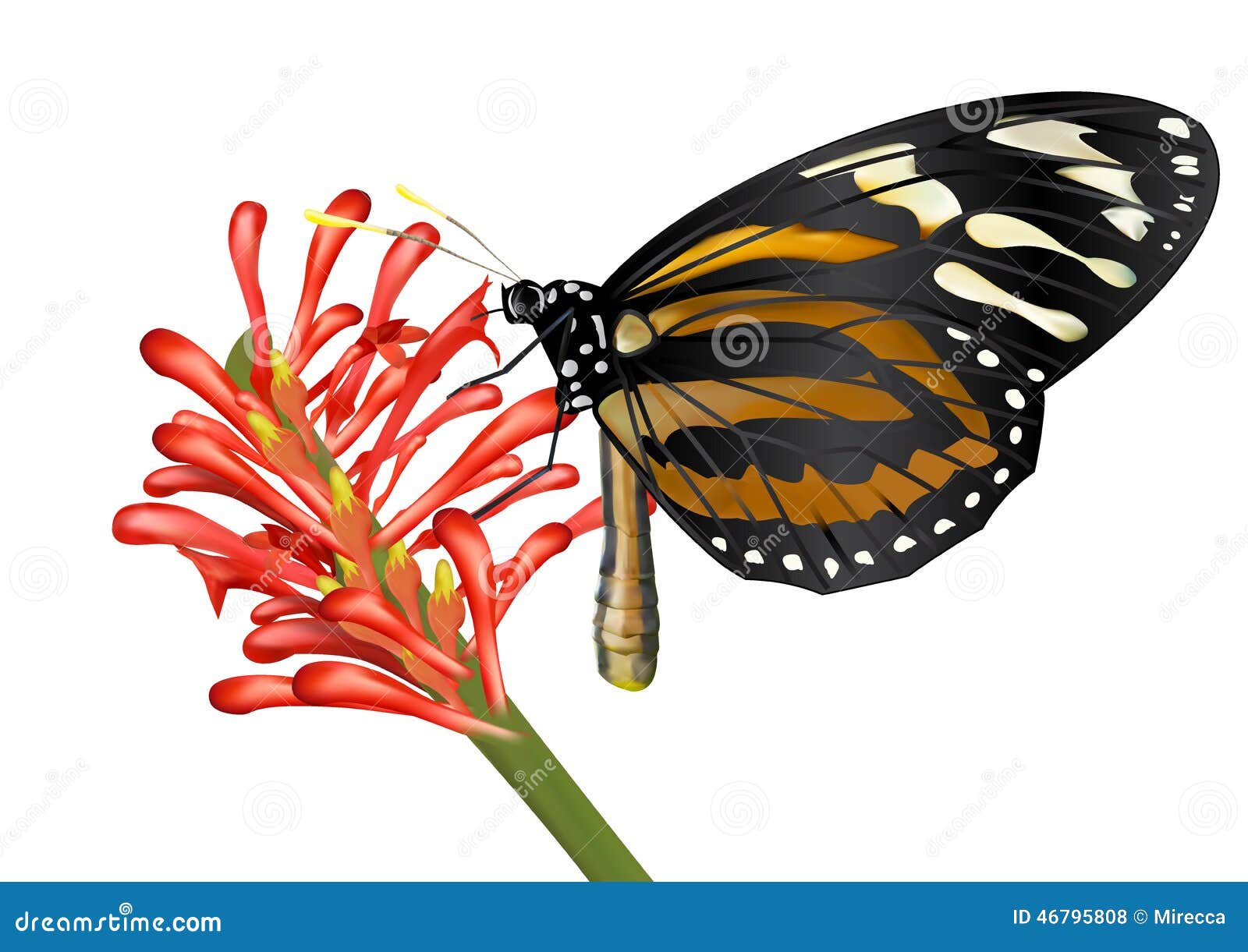 Beatiful Cartoons, Illustrations & Vector Stock Images - 8207 Pictures ...