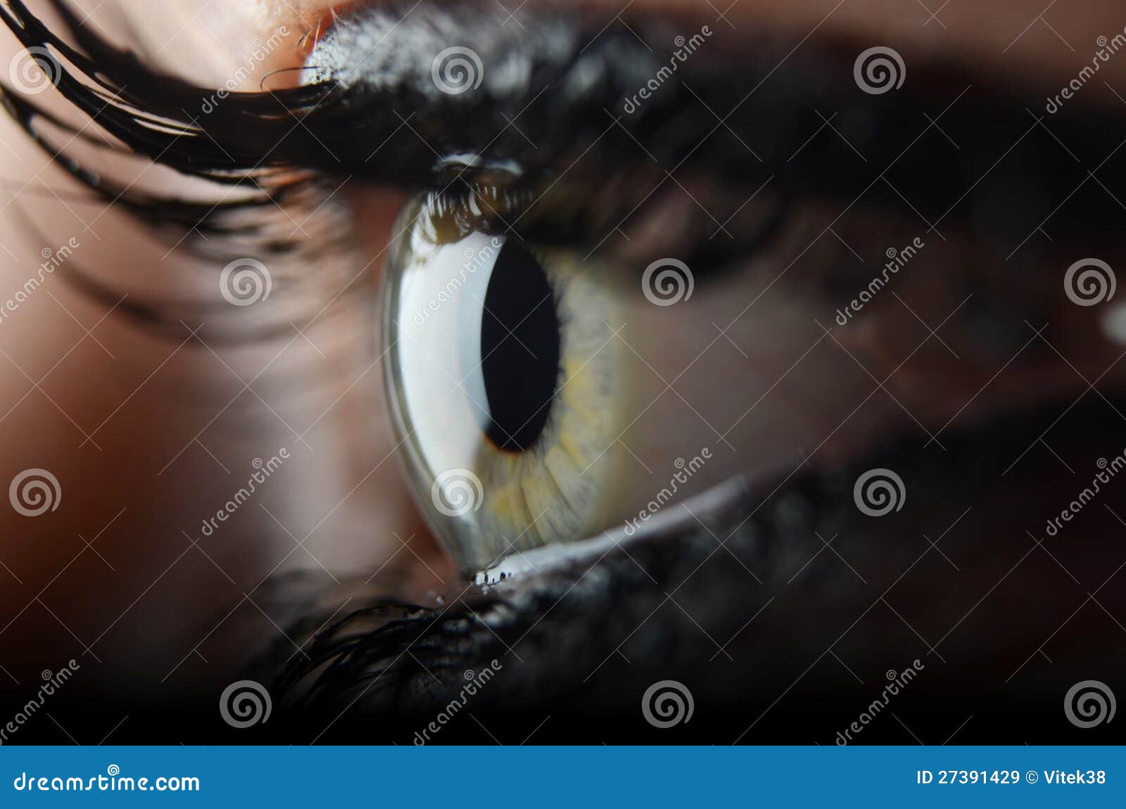Beatiful eye stock image. Image of lens, glasses, back - 27391429