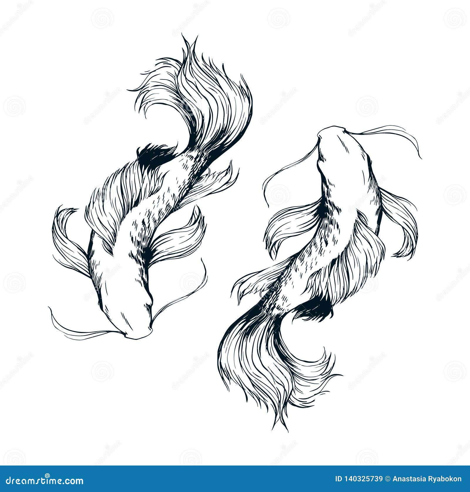 Beatiful Fishes Ink Drawing Vector Stock Vector - Illustration of ...