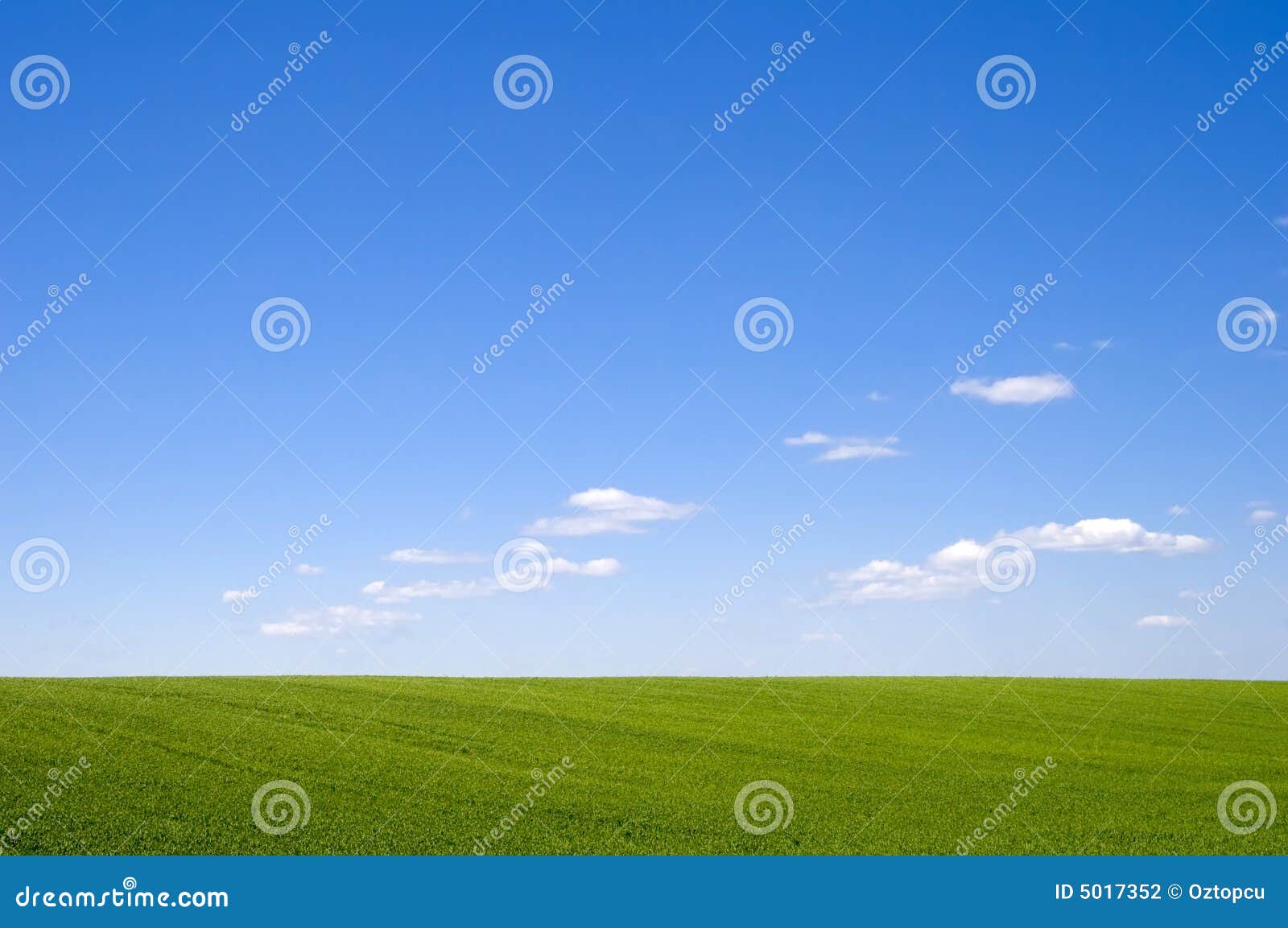 Beatiful Green Grass and Blue Sky Stock Photo - Image of outside, cloud ...