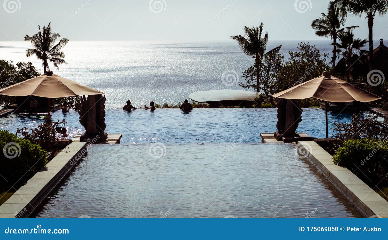 A Beatiful Infinity Pool at a Tropical Destination Editorial Image ...