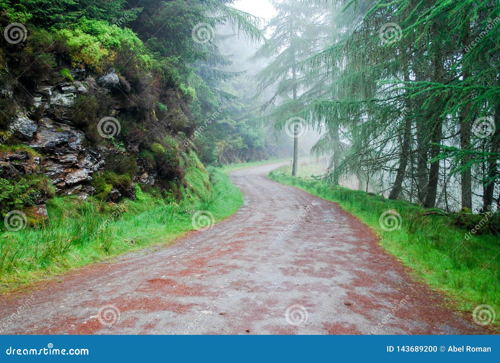 A Path between Trees in Glendalough Ireland Stock Photo - Image of ...