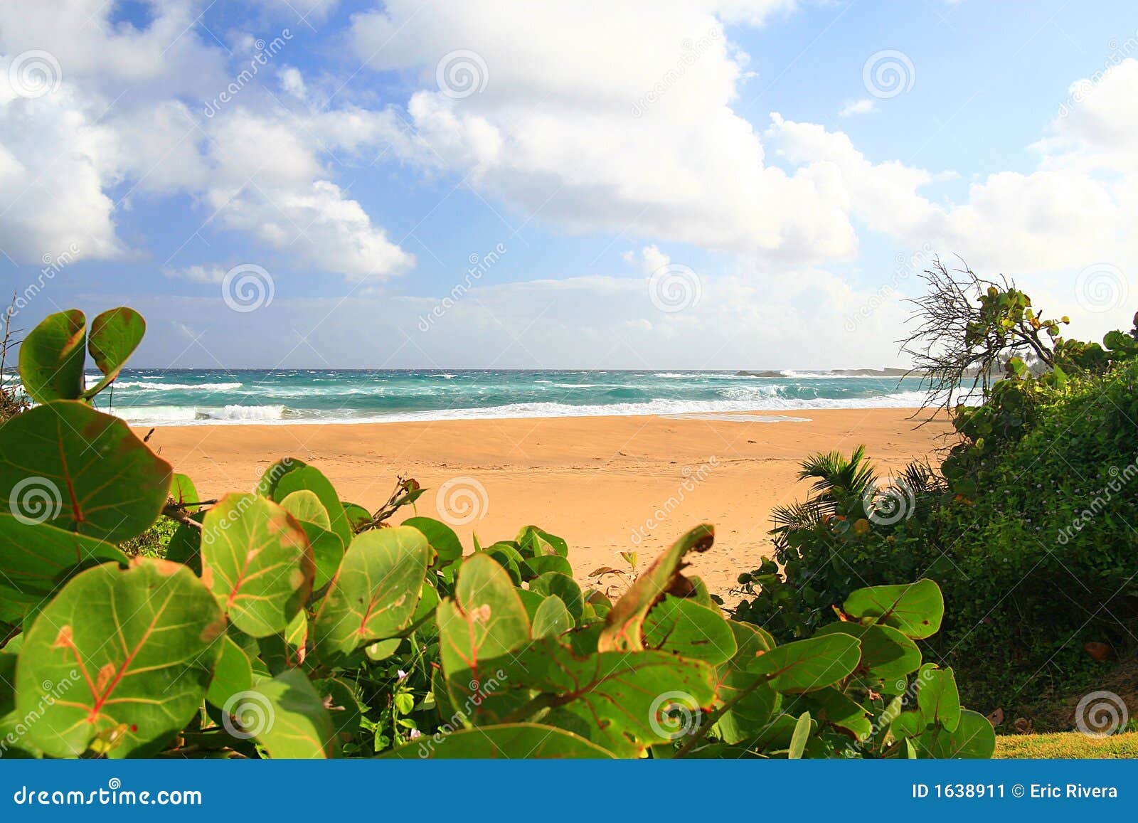 Beatiful Secluded Beach in Isabela, Puerto Rico Stock Image - Image of ...