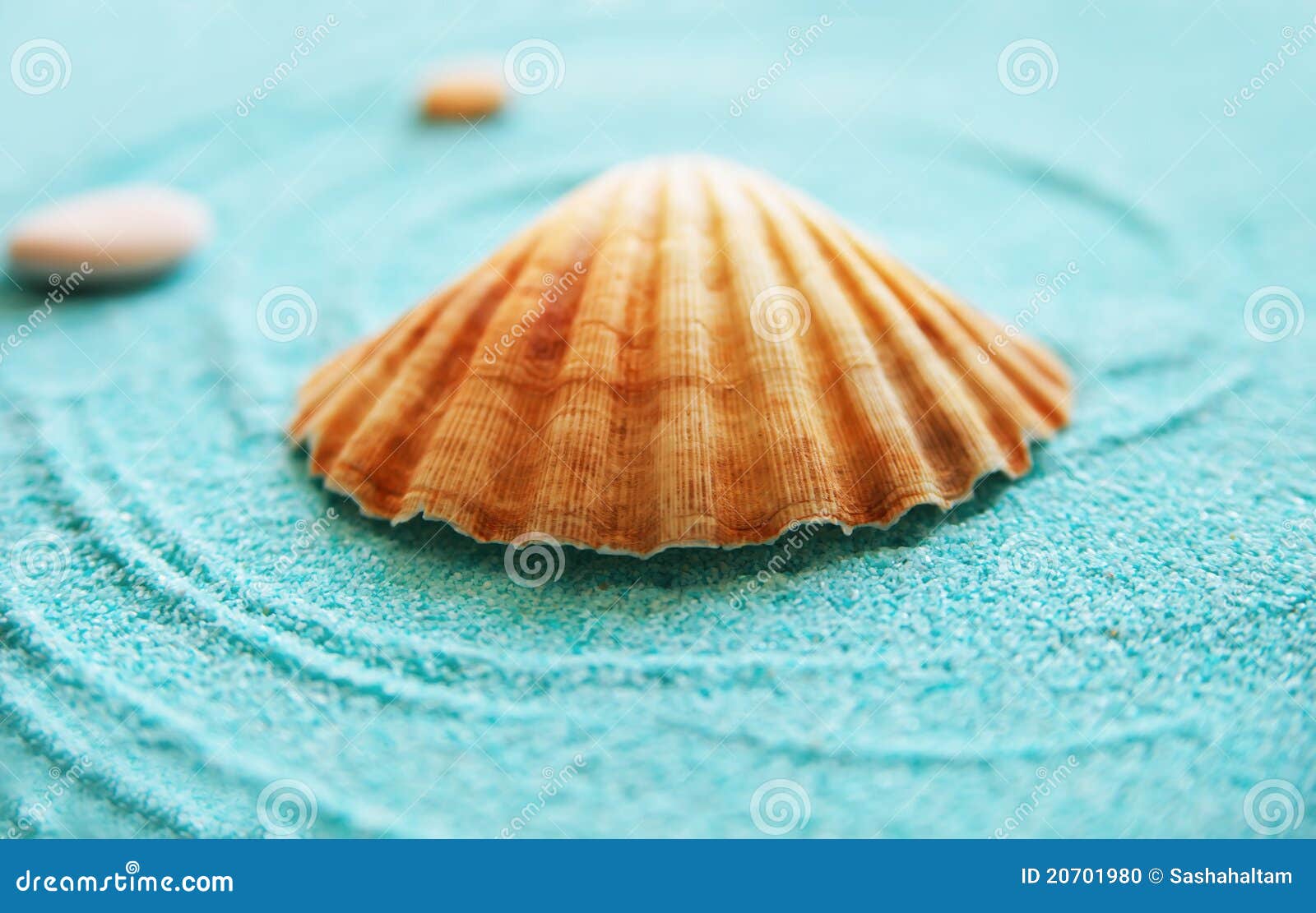 Beatiful Shell and Stones on a Blue Sand Stock Photo - Image of lines ...