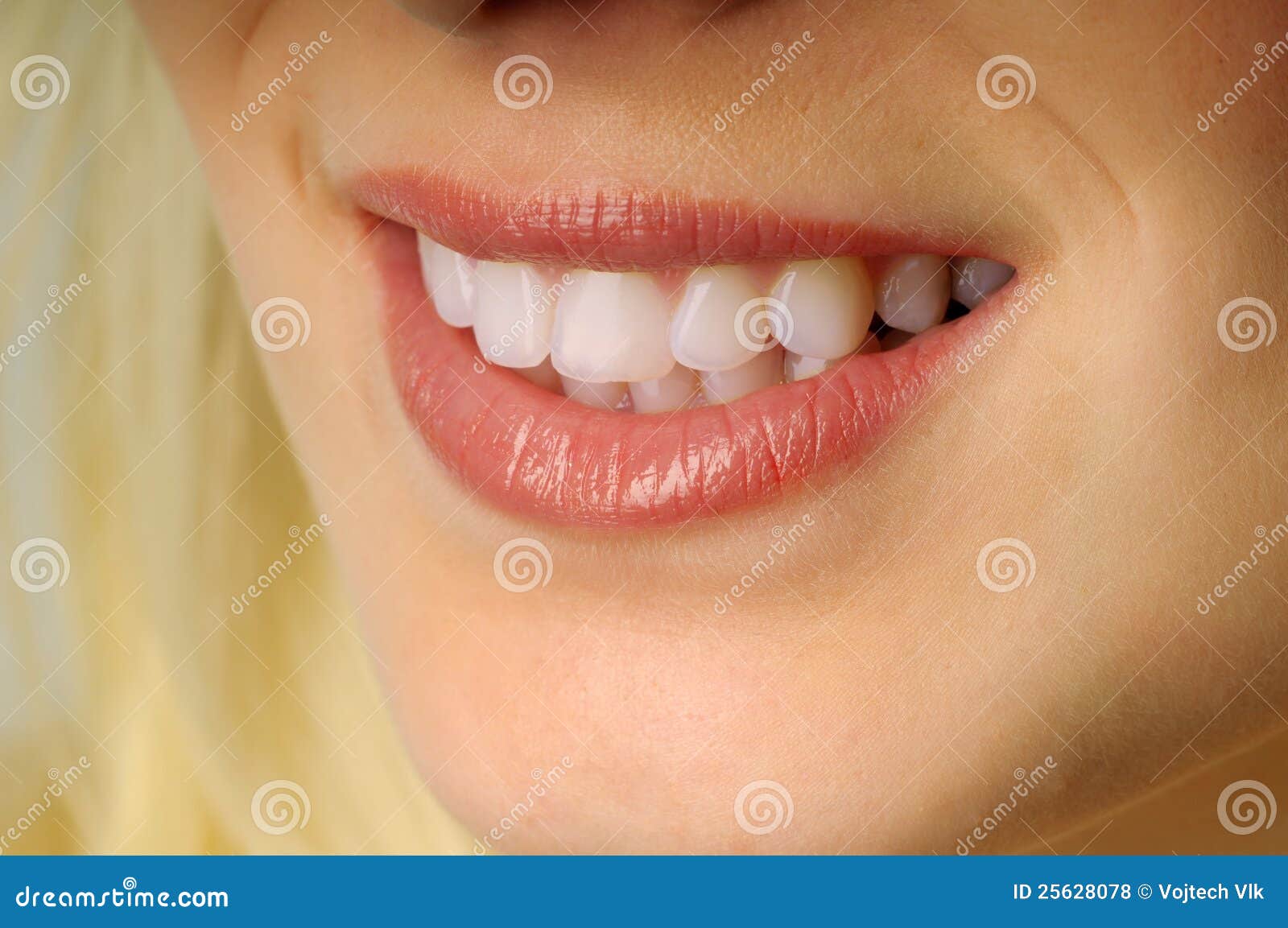 Beatiful smile stock photo. Image of head, people, shiny - 25628078