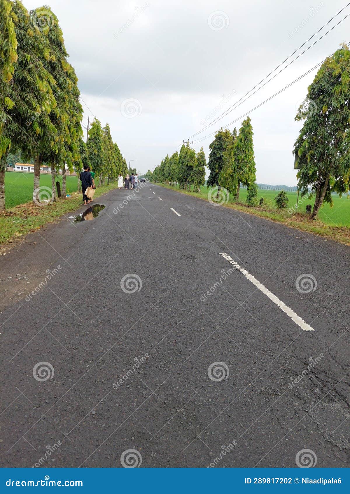 Beatiful View in the Village in Indonesia.Central of Java Stock Photo ...
