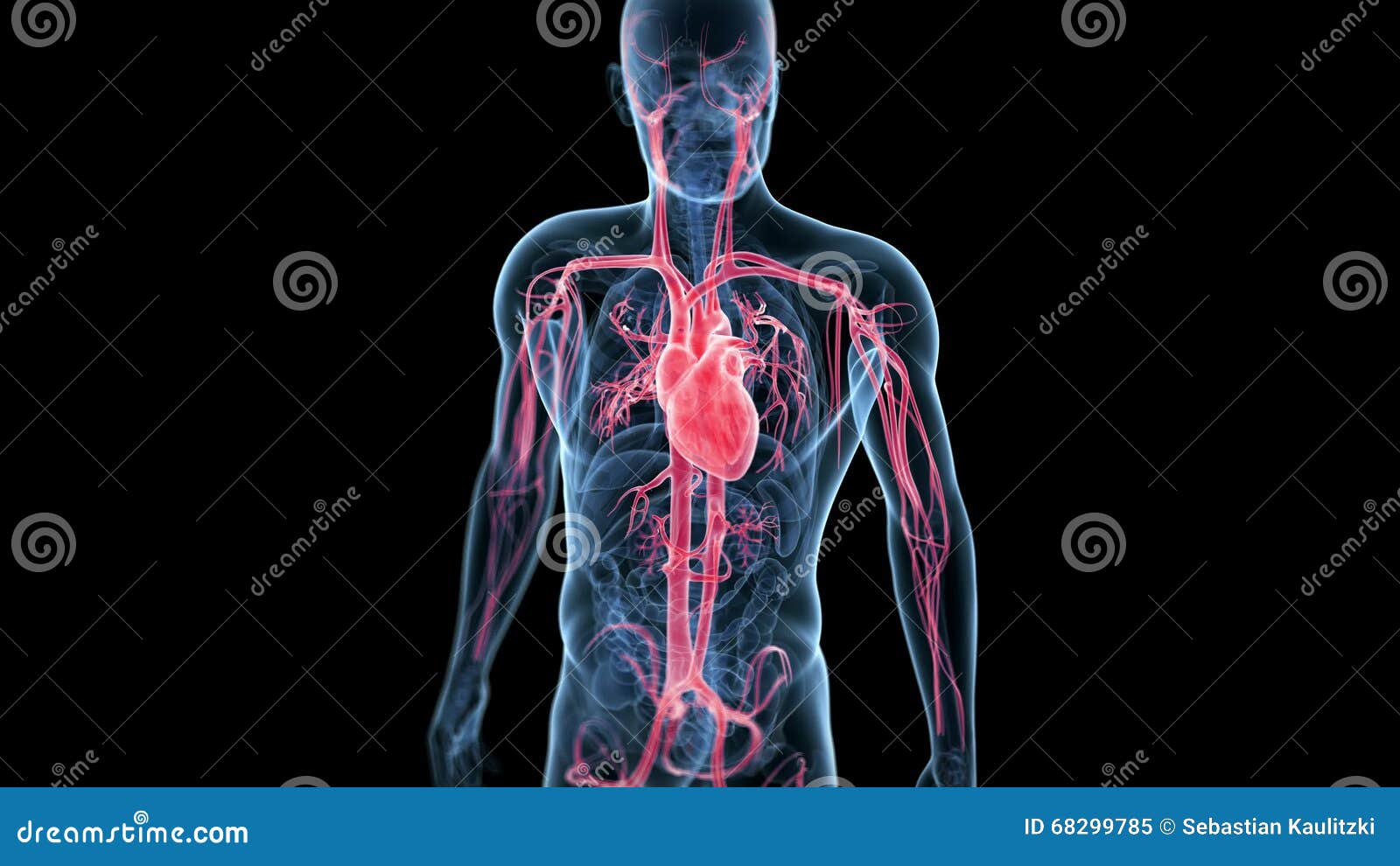 Beating heart stock video. Video of vasculary, body, coronary - 68299785