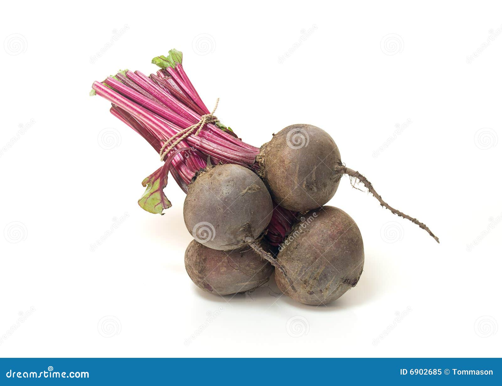 Beatroot stock image. Image of vegetable, beetroot, organic - 6902685