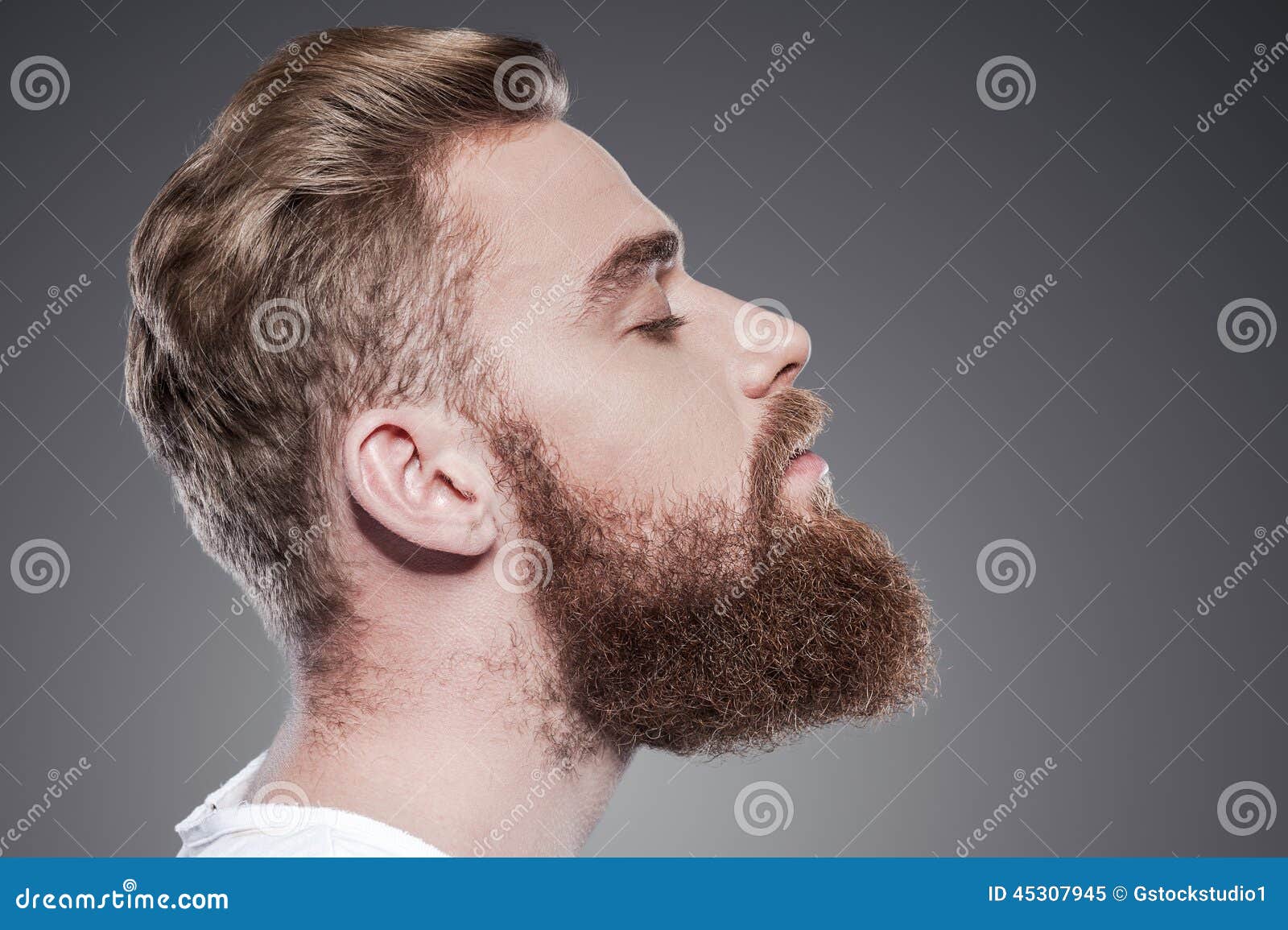 Beau barbu image stock. Image du verticale, frais, garder - 45307945