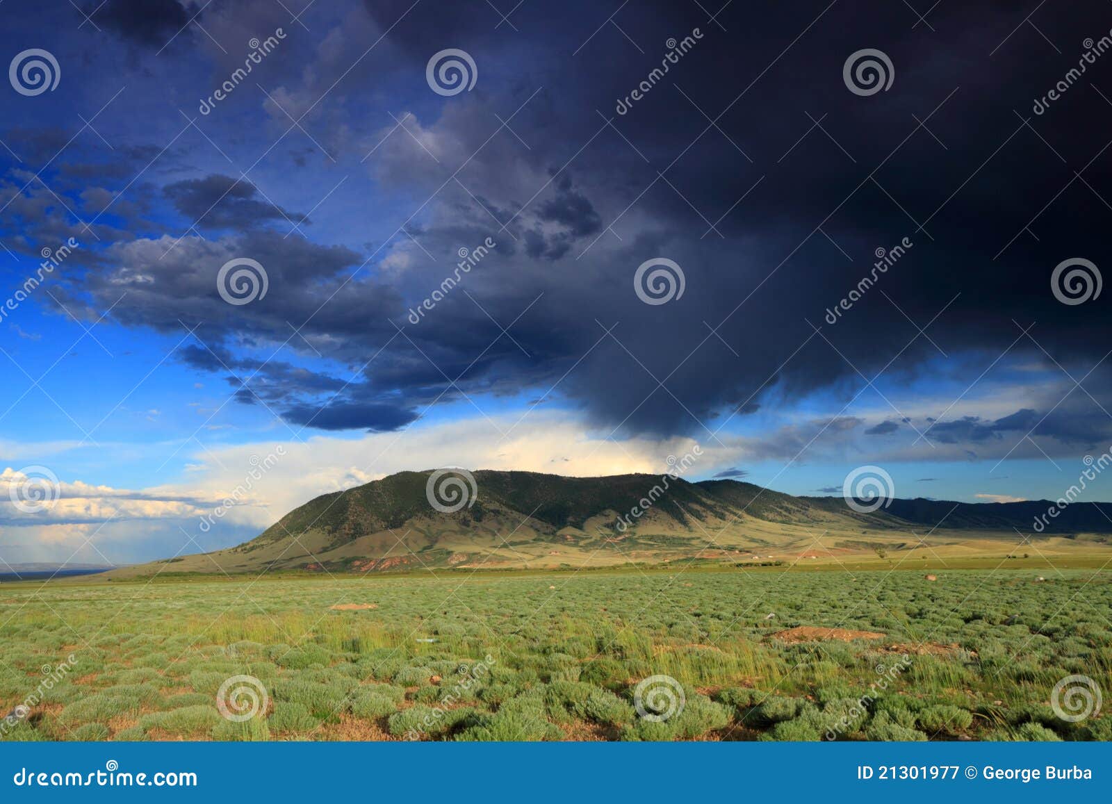 Beau ciel image stock. Image du colorado, prairies, herbe - 21301977