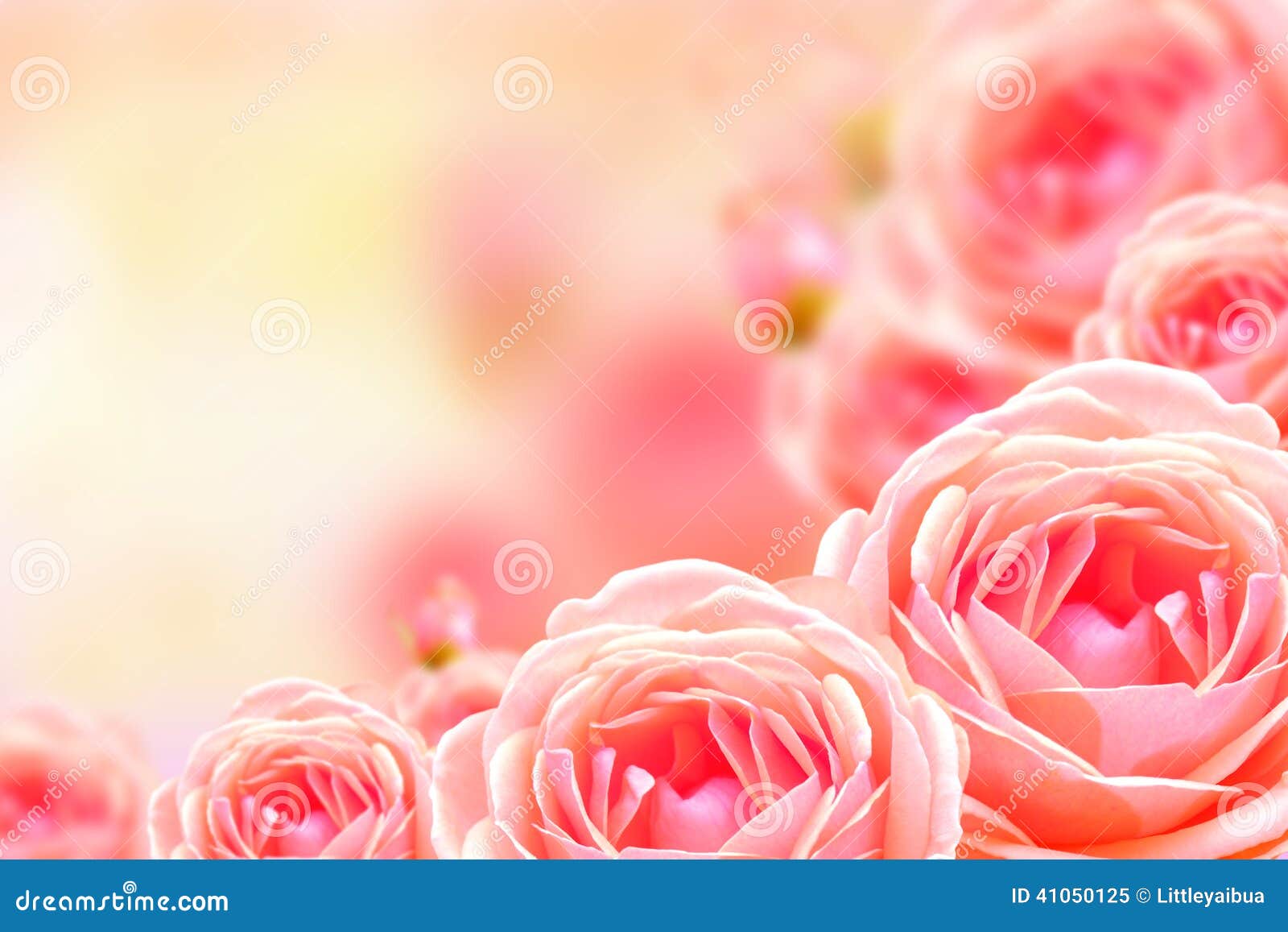 Beau Fond Rose De Fleur Et De Tache Floue Image stock - Image du cadre ...