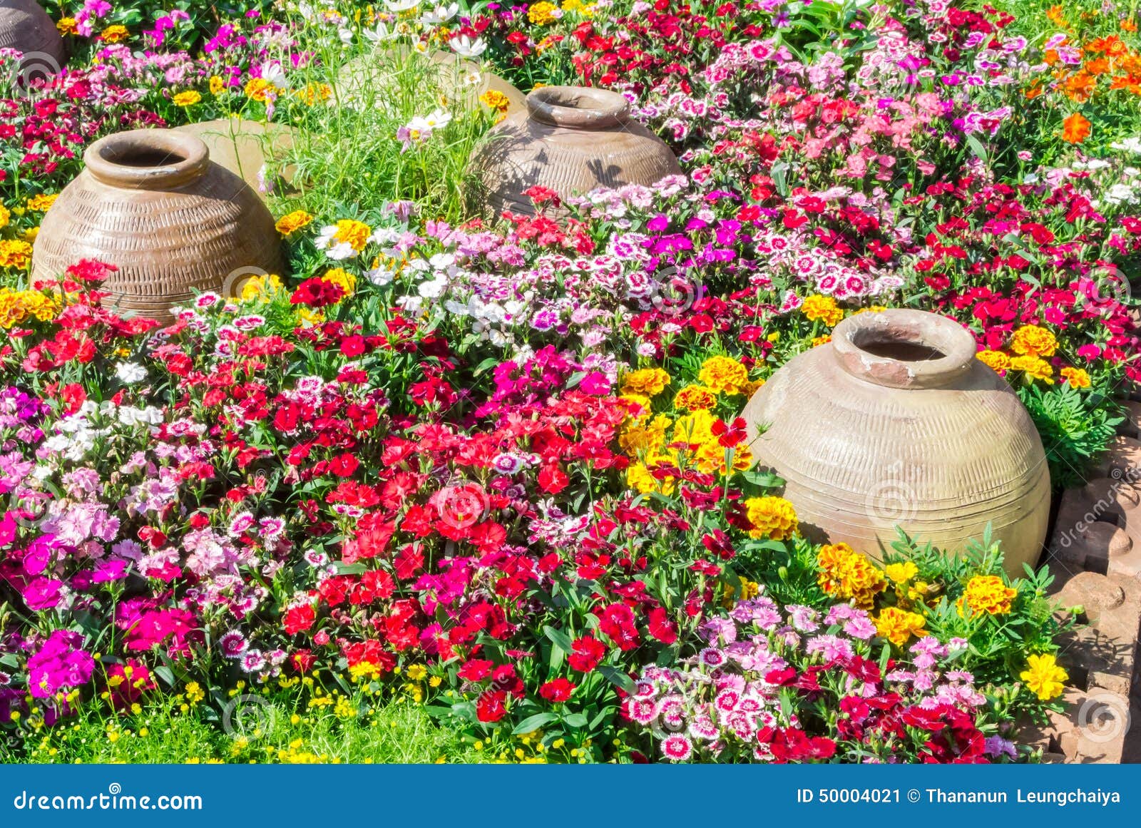 Beau jardin de fleur image stock. Image du flore, nature - 50004021