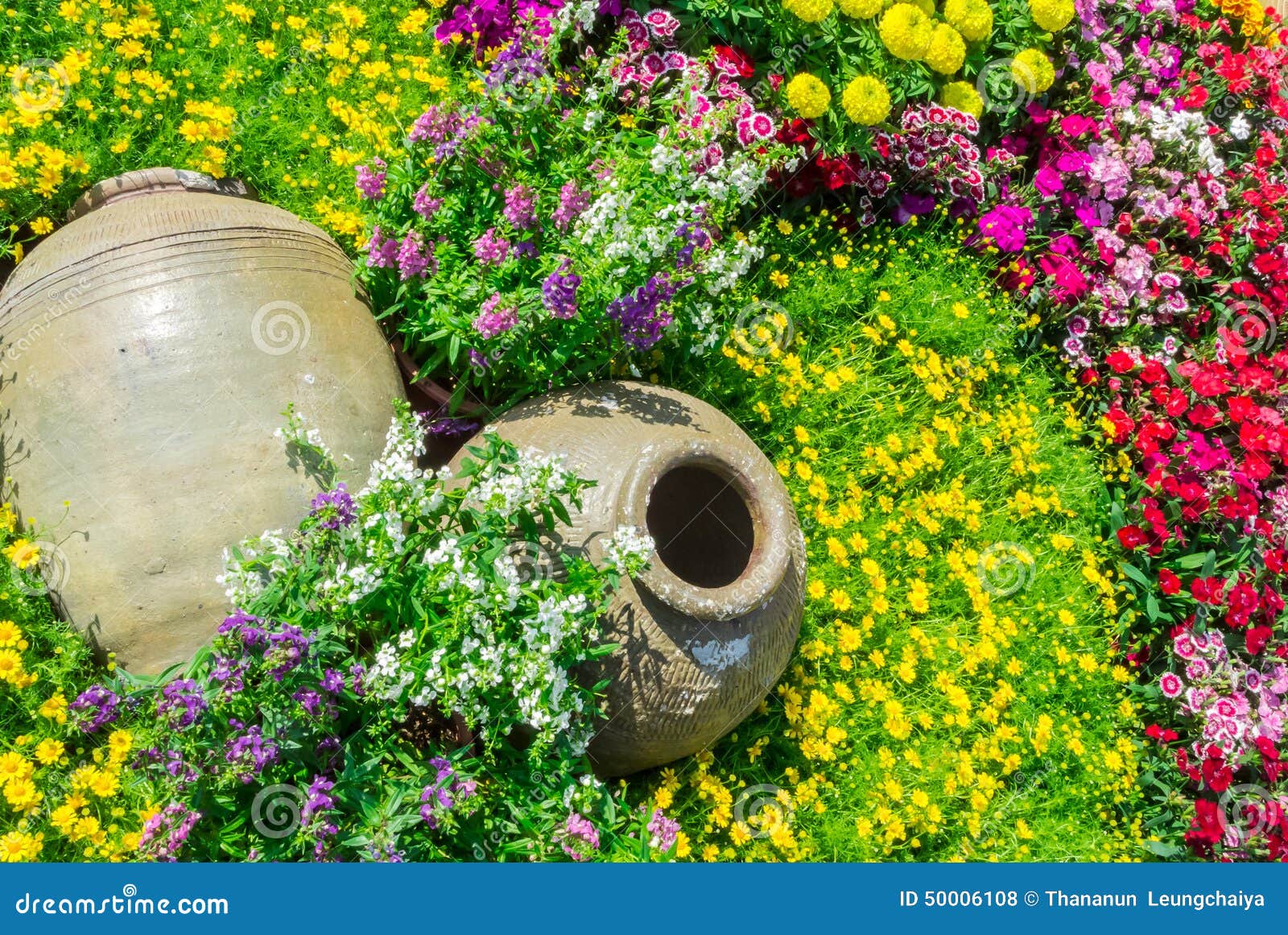 Beau jardin de fleur photo stock. Image du floral, jardin - 50006108