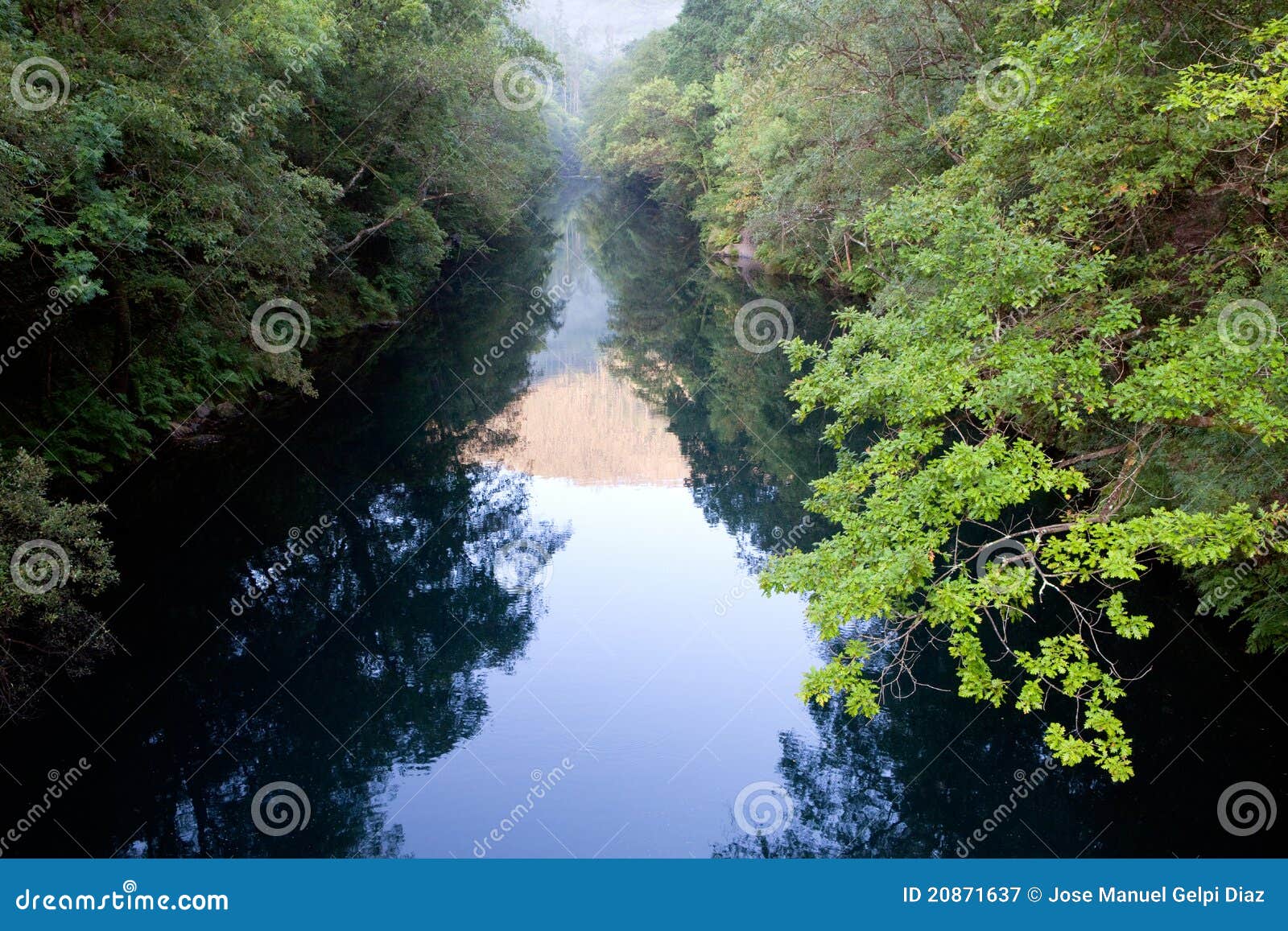 Beau paysage d'un fleuve image stock. Image du stationnement - 20871637
