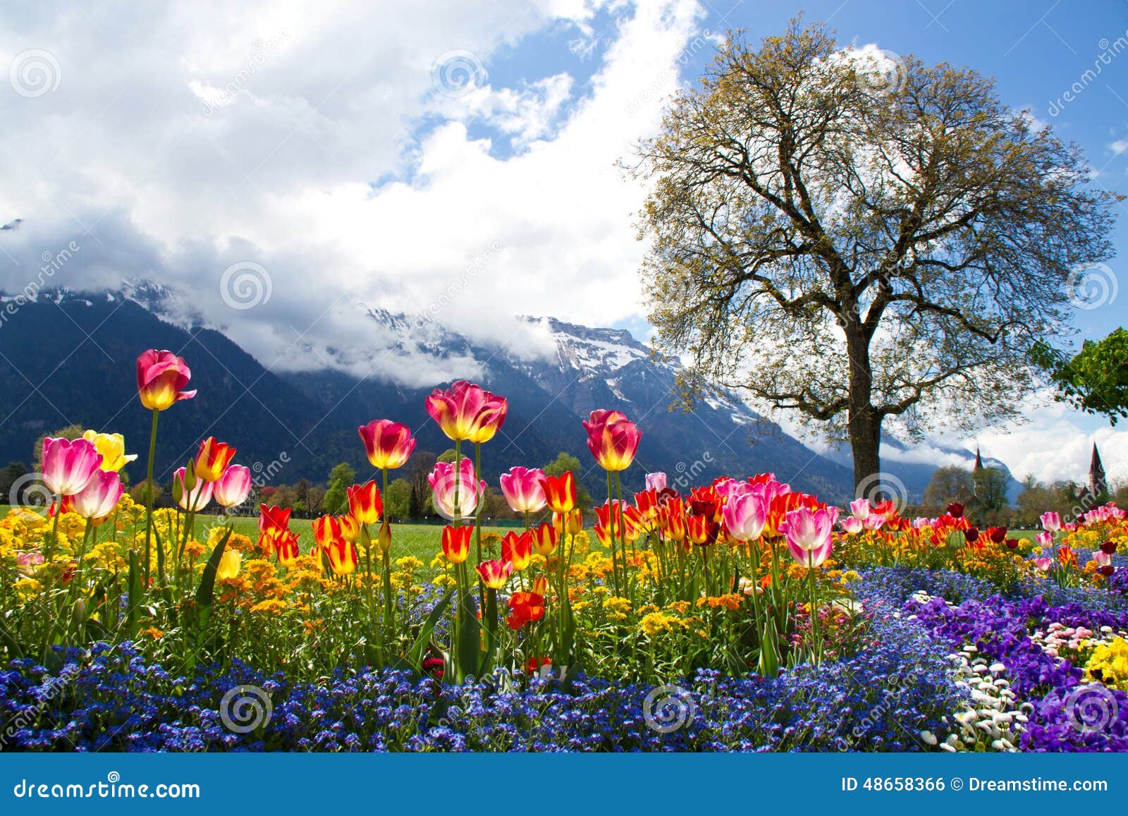 Beau paysage de fleur photo stock. Image du montagne - 48658366