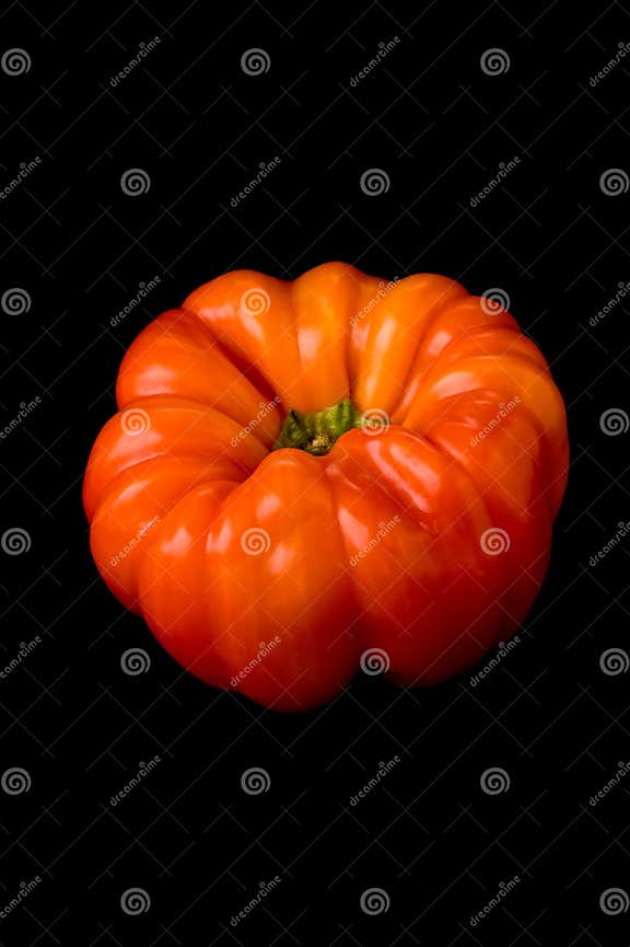 Beau poivron doux photo stock. Image du nourriture, cuisine - 7270866