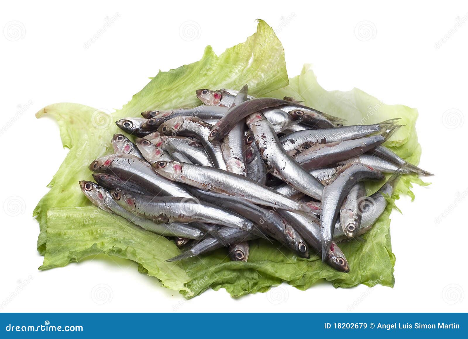 Beaucoup d'anchois frais. image stock. Image du manger - 18202679