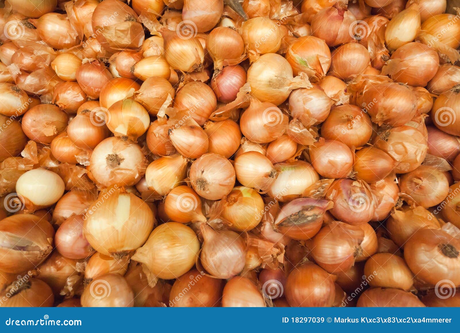 Beaucoup d'oignons image stock. Image du régime, cuisine - 18297039