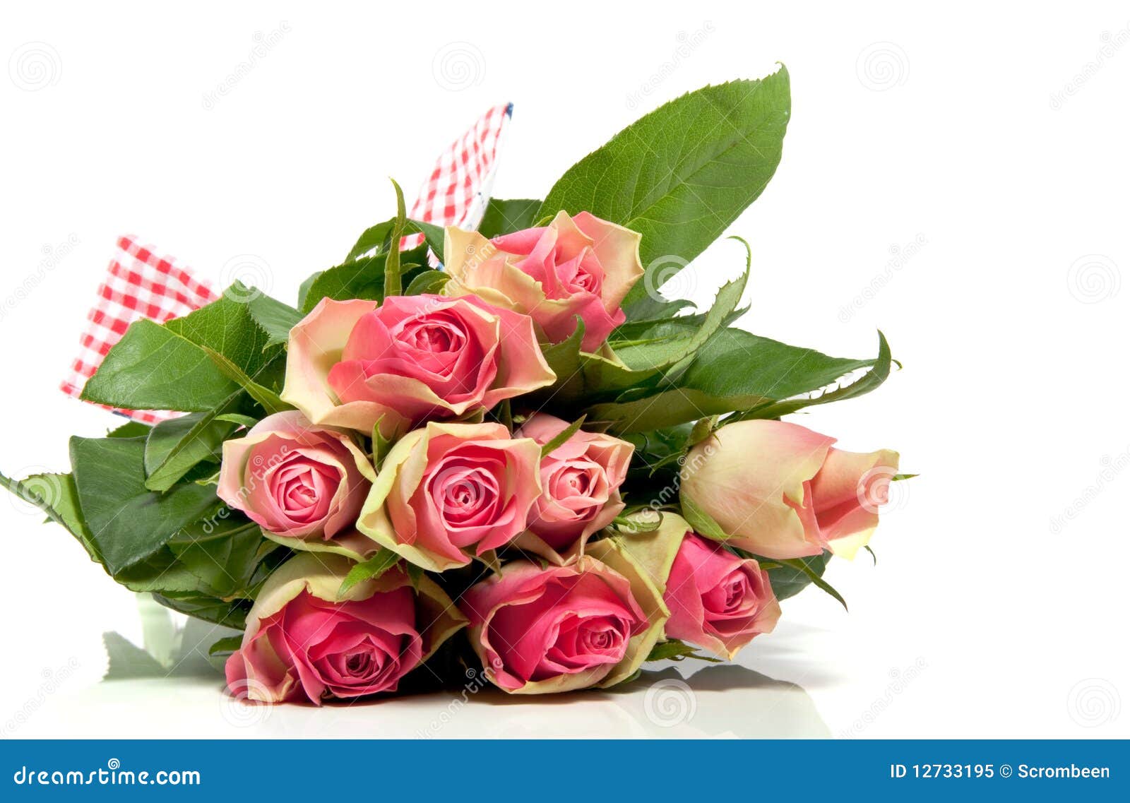 Beaucoup De Roses Romantiques Roses Image stock - Image du fond, épine ...