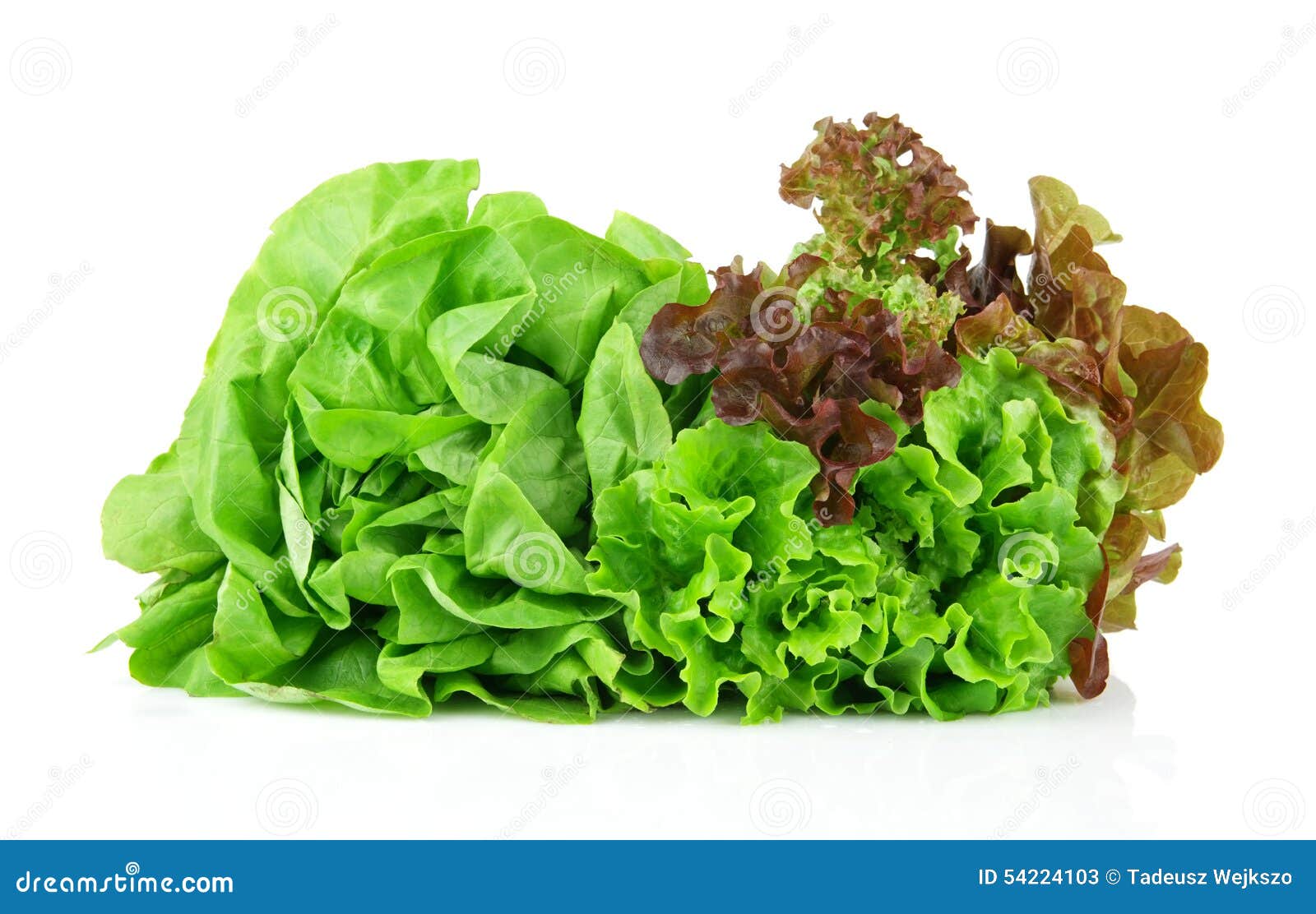 Beaucoup De Variétés De Laitue Sur Le Blanc Image stock - Image du lame ...