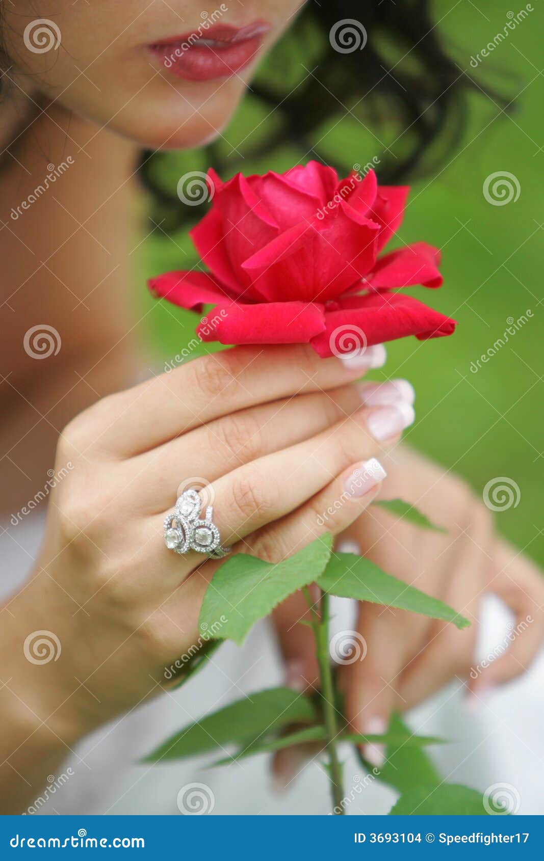Beauiful Woman and Rose stock photo. Image of hand, raven - 3693104