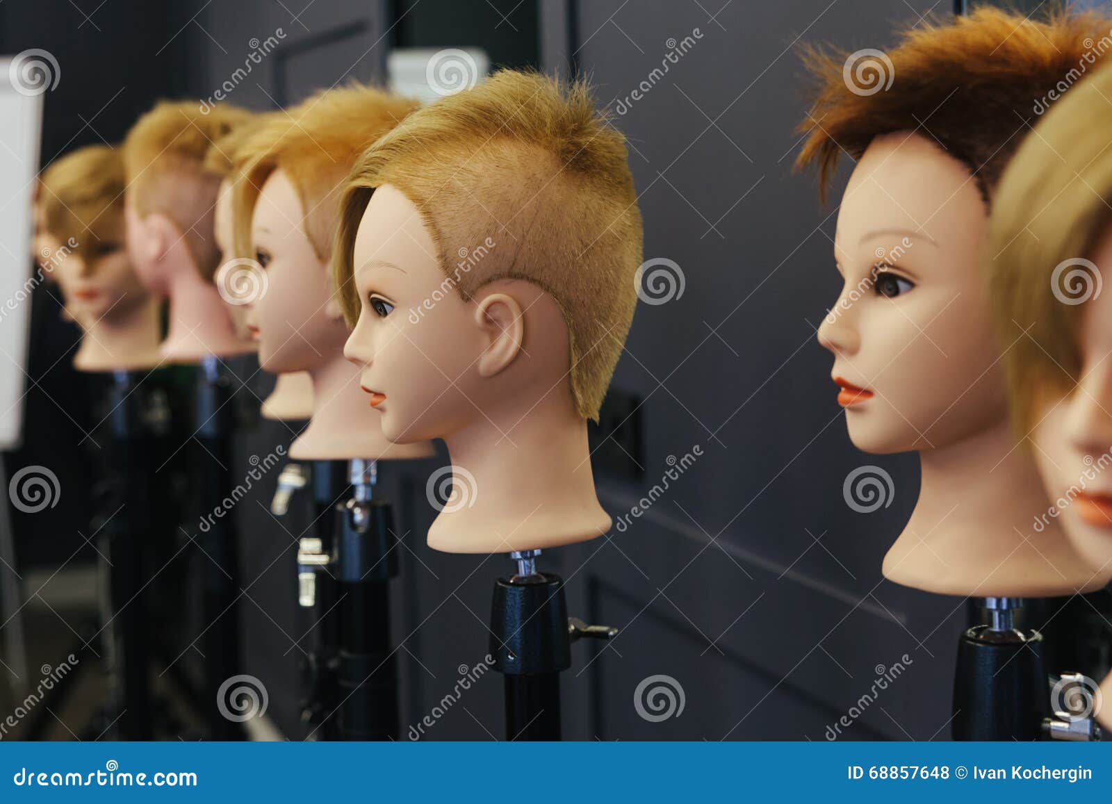 Beautician Model Heads for Practicing in Beauty School Stock Photo ...