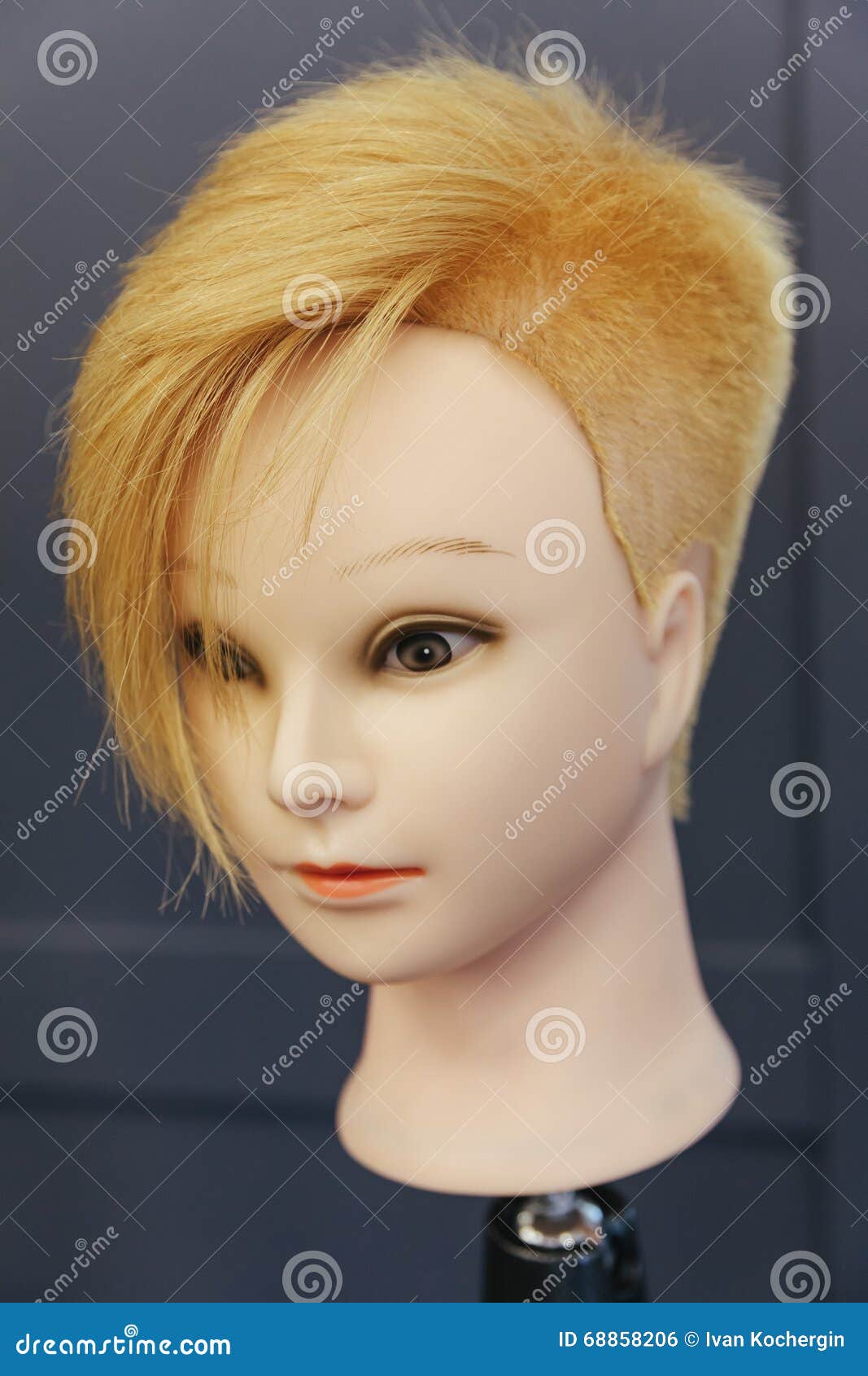 Beautician Model Heads for Practicing in Beauty School Stock Photo ...