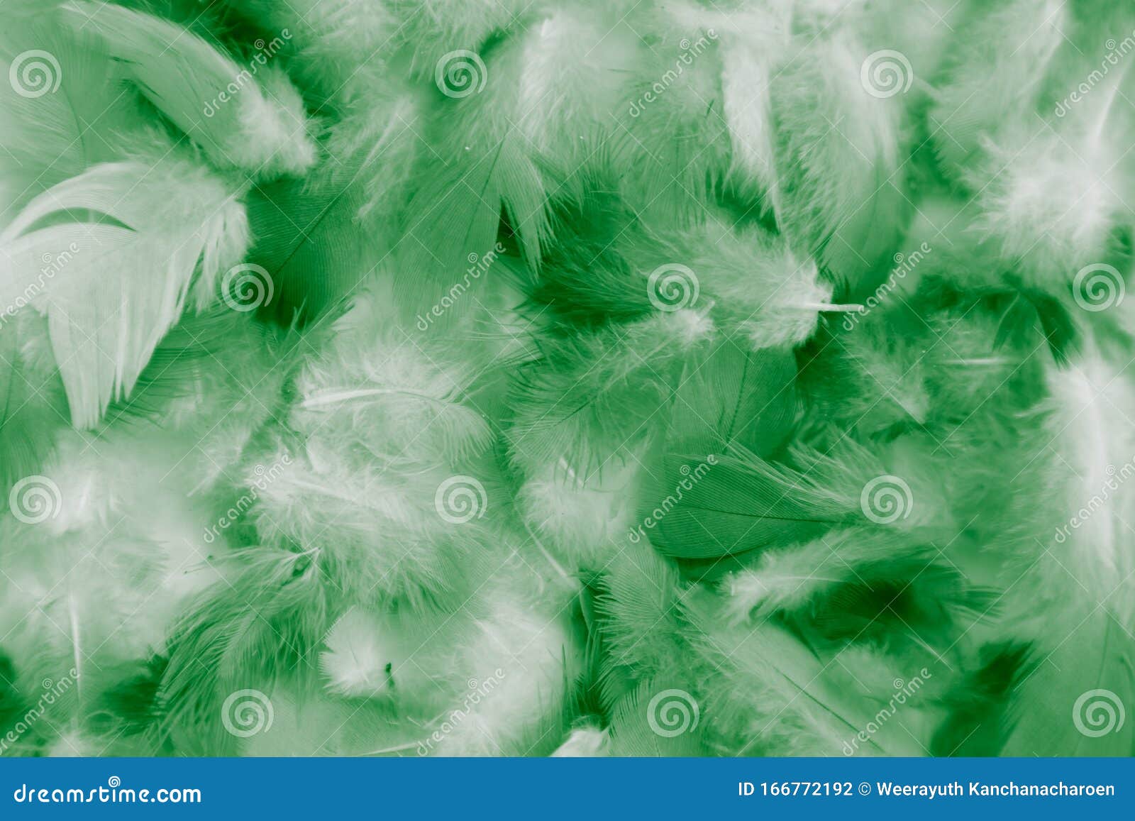 Dark Green Feathers