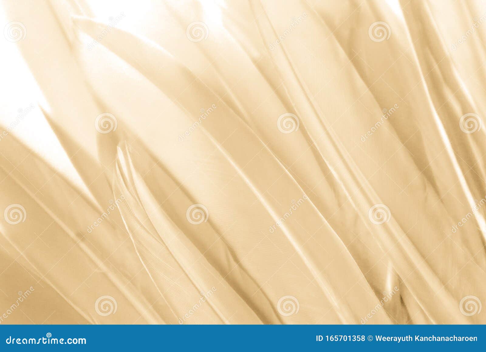 Beautiful Abstract Colorful Yellow and White Feathers on White ...