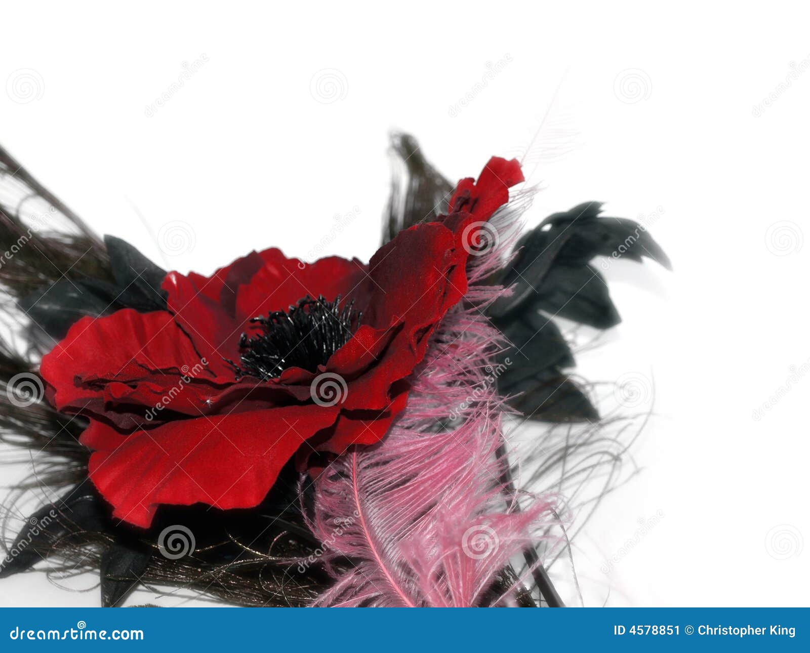 Beautiful Abstract Flower Display Against White Stock Image - Image of ...