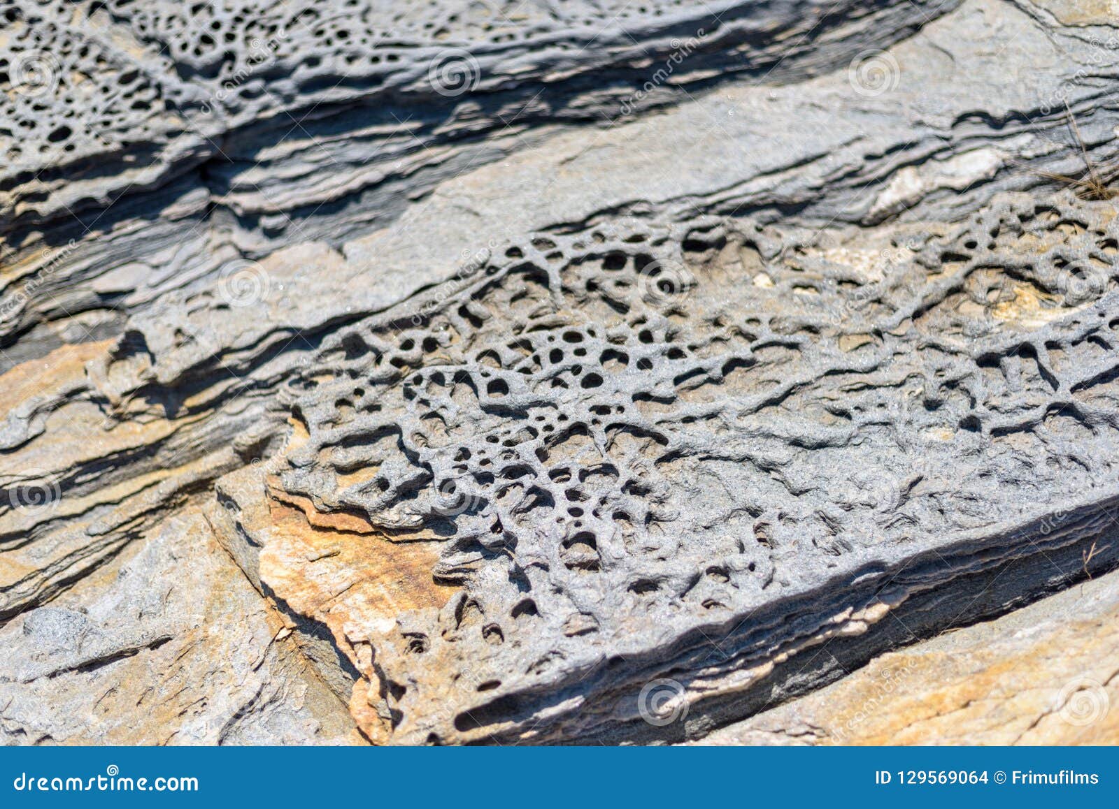 Beautiful Abstract Pattern on Rocks Stock Photo - Image of background ...