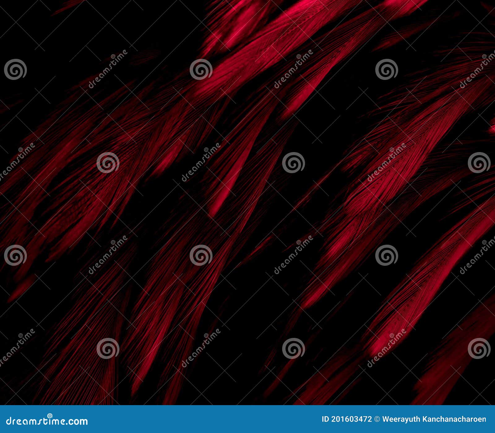 Beautiful Abstract Red Feathers on Dark Background and Soft White ...