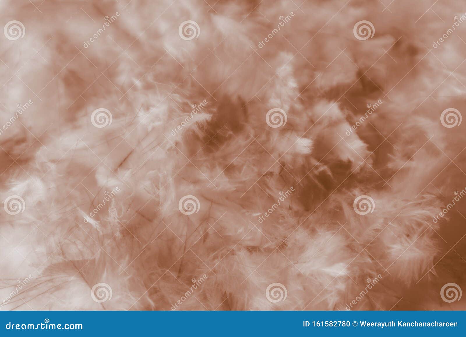 Beautiful Abstract White and Brown Feathers on Darkness Background and ...