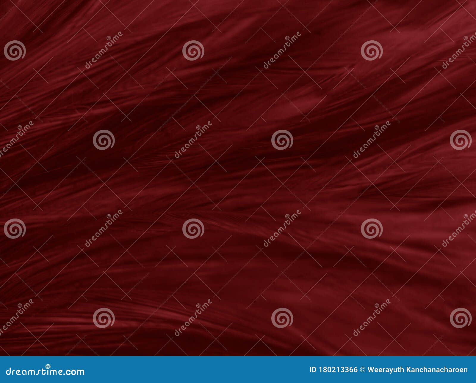Beautiful Abstract White and Red Feathers on White Background and Soft ...