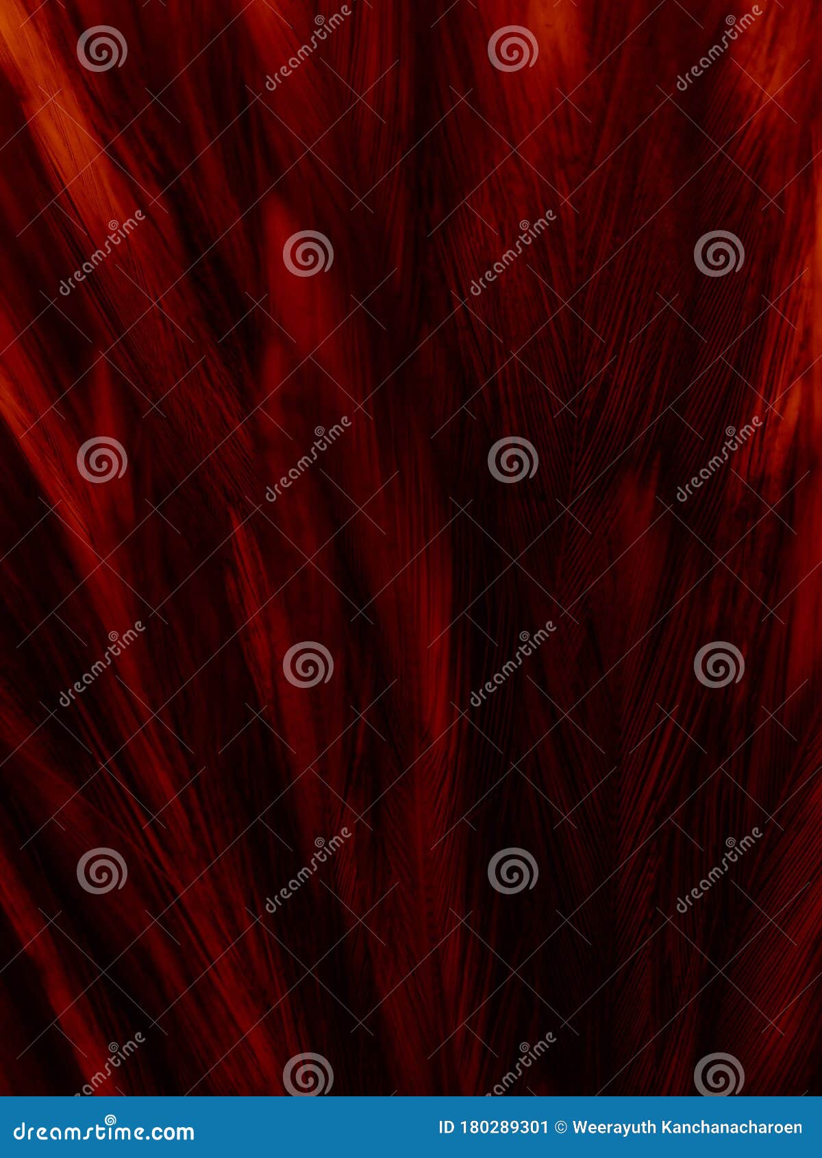 Beautiful Abstract White and Red Feathers on White Background and Soft ...