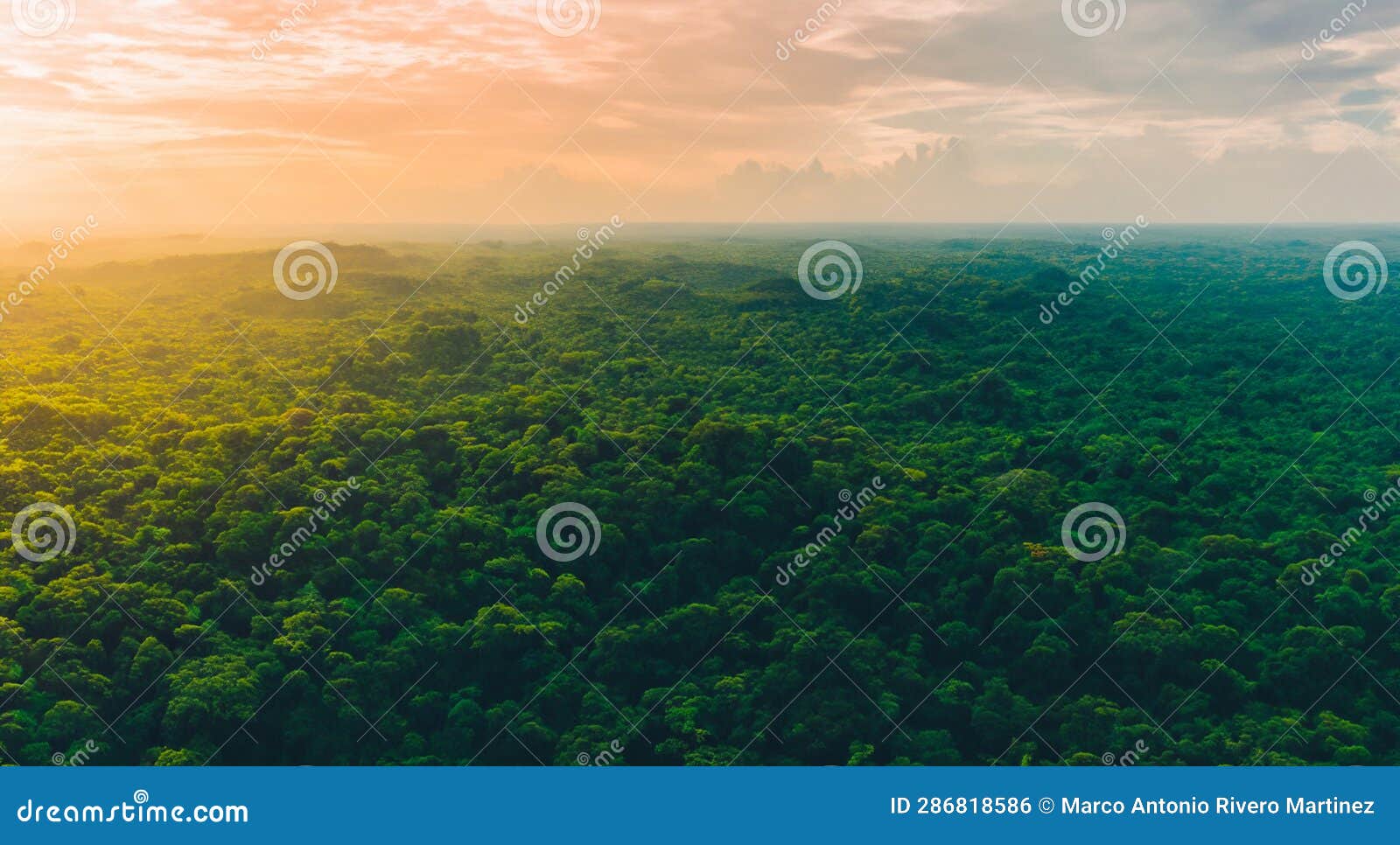 Beautiful Aerial View of the Amazon Jungle ,forested Area Stock Photo - Image of amazon, city ...