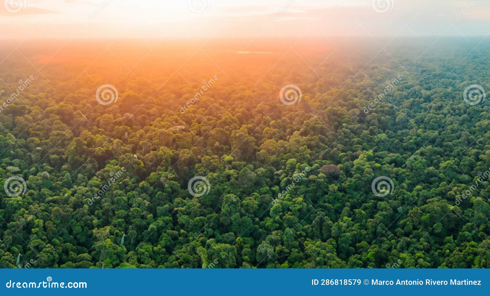 Beautiful Aerial View of the Amazon Jungle with the Reflection of the ...