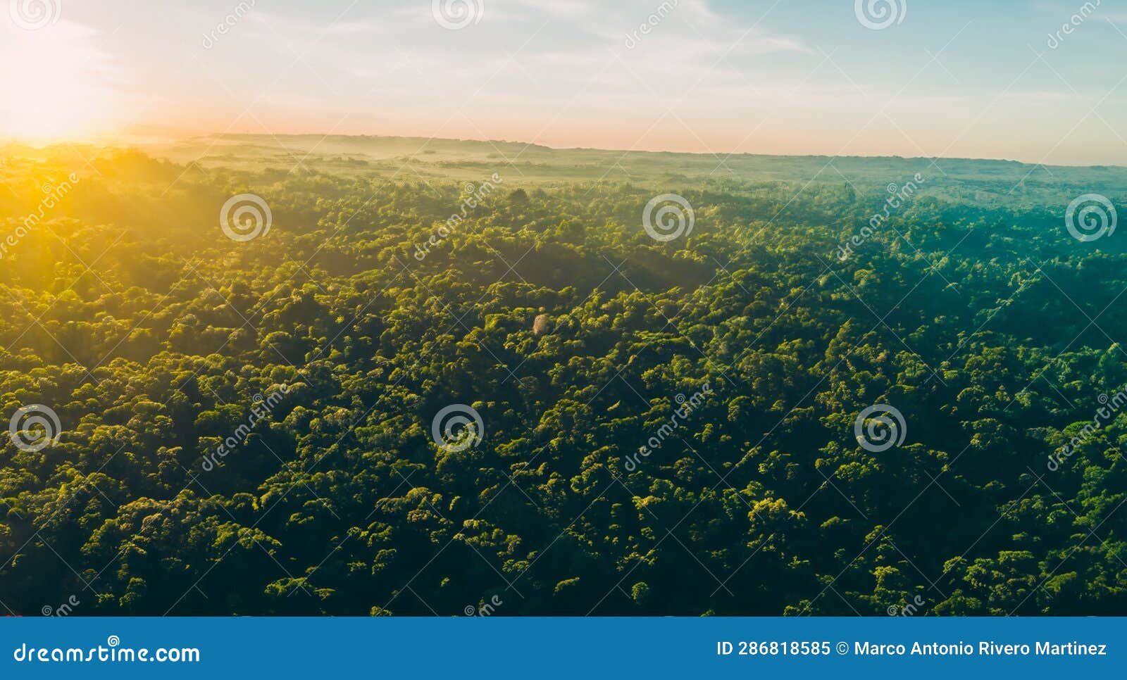 Beautiful Aerial View of the Amazon Jungle with the Reflection of the ...