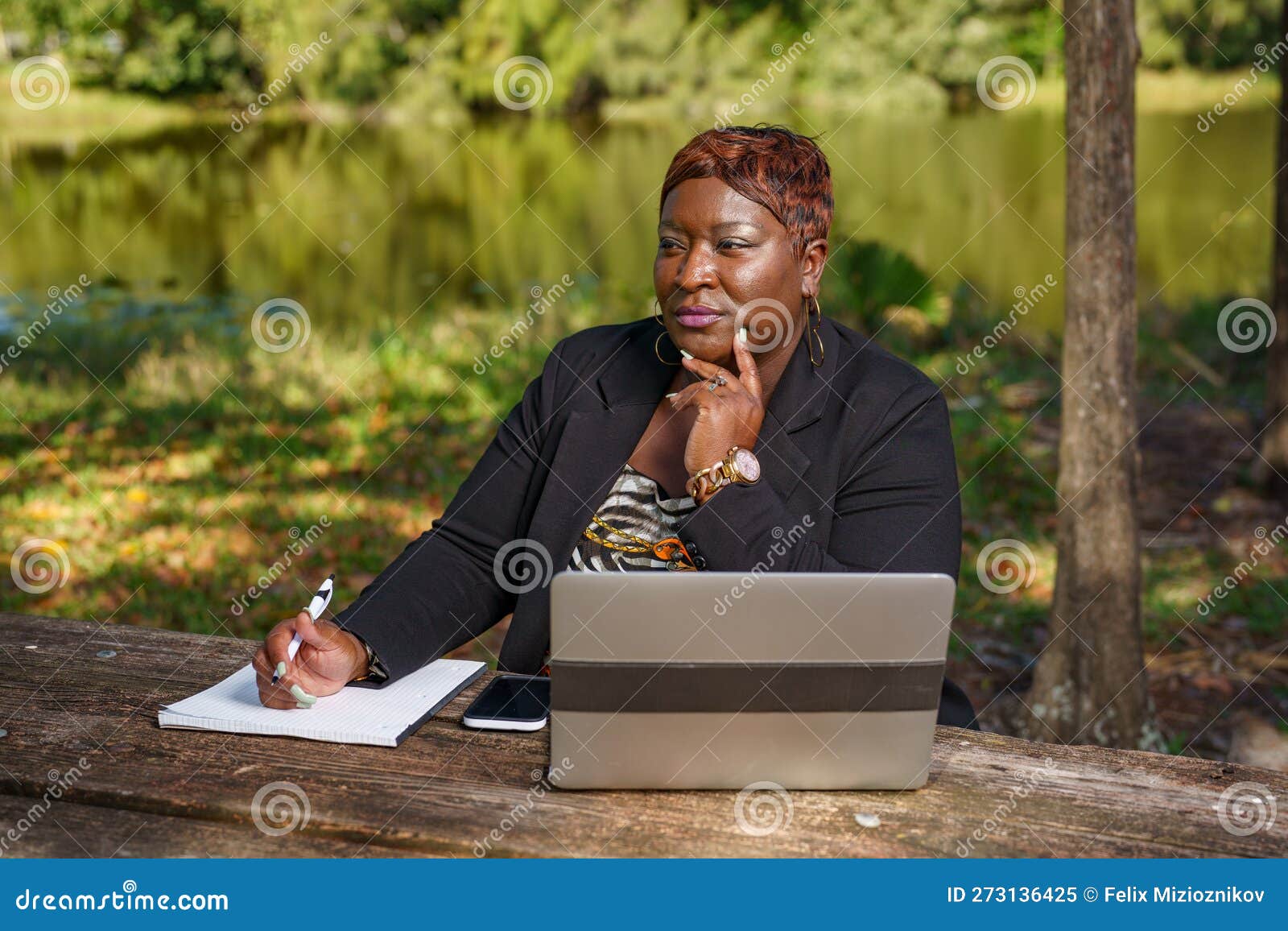 Beautiful African American Businesswoman Working In The Park Stock