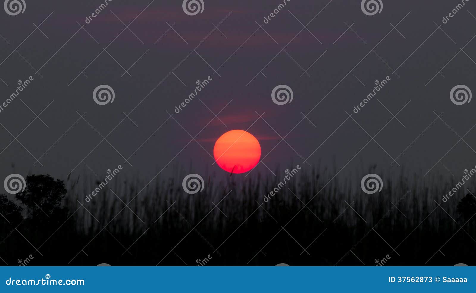 Beautiful african sunset stock image. Image of nature - 37562873