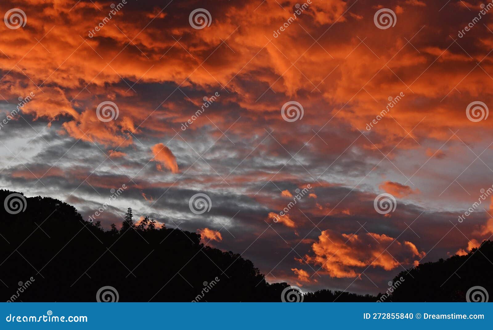 A beautiful African sunset stock photo. Image of orange - 272855840
